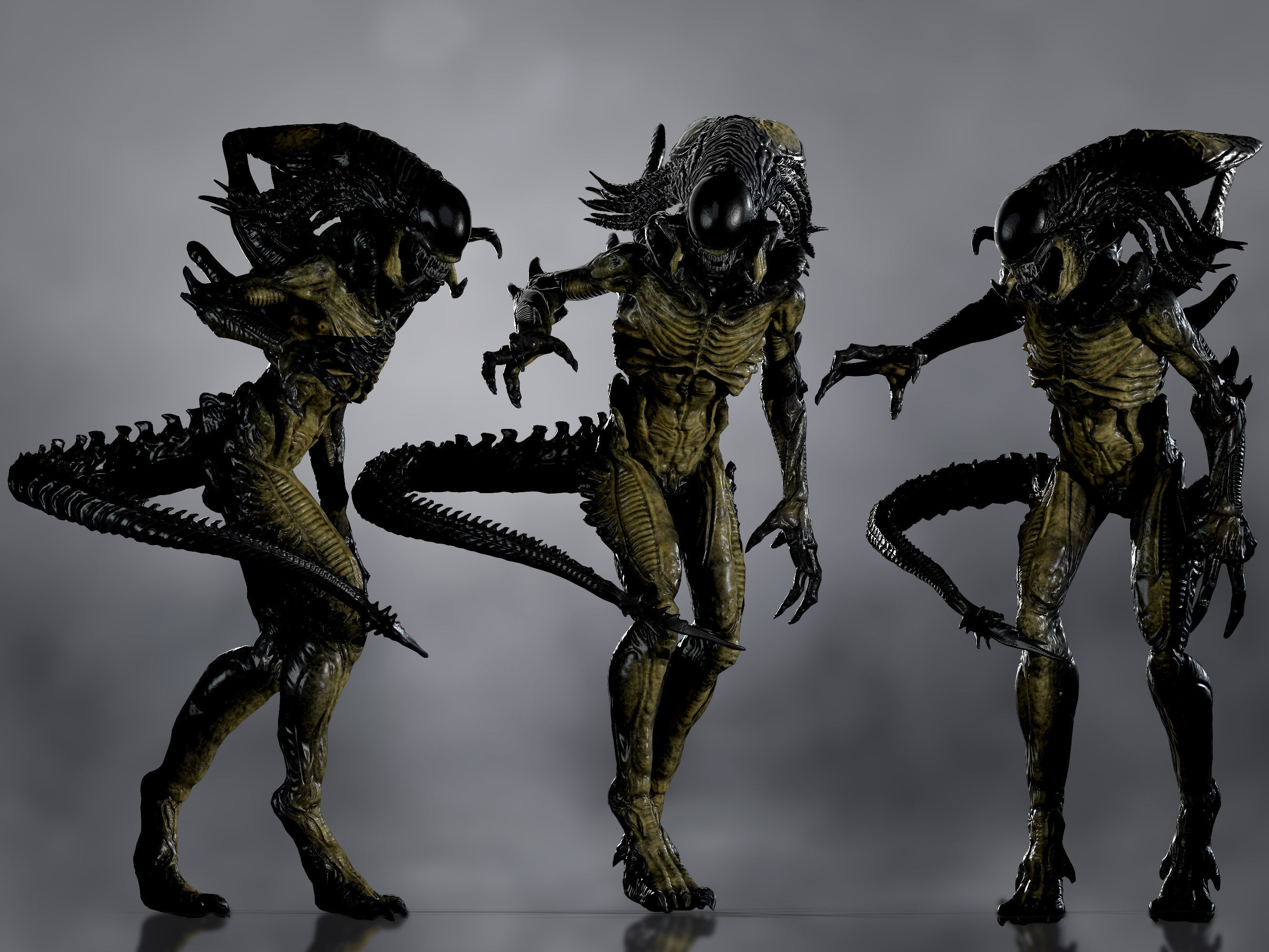 3D model Predalien VR / AR / low-poly rigged | CGTrader