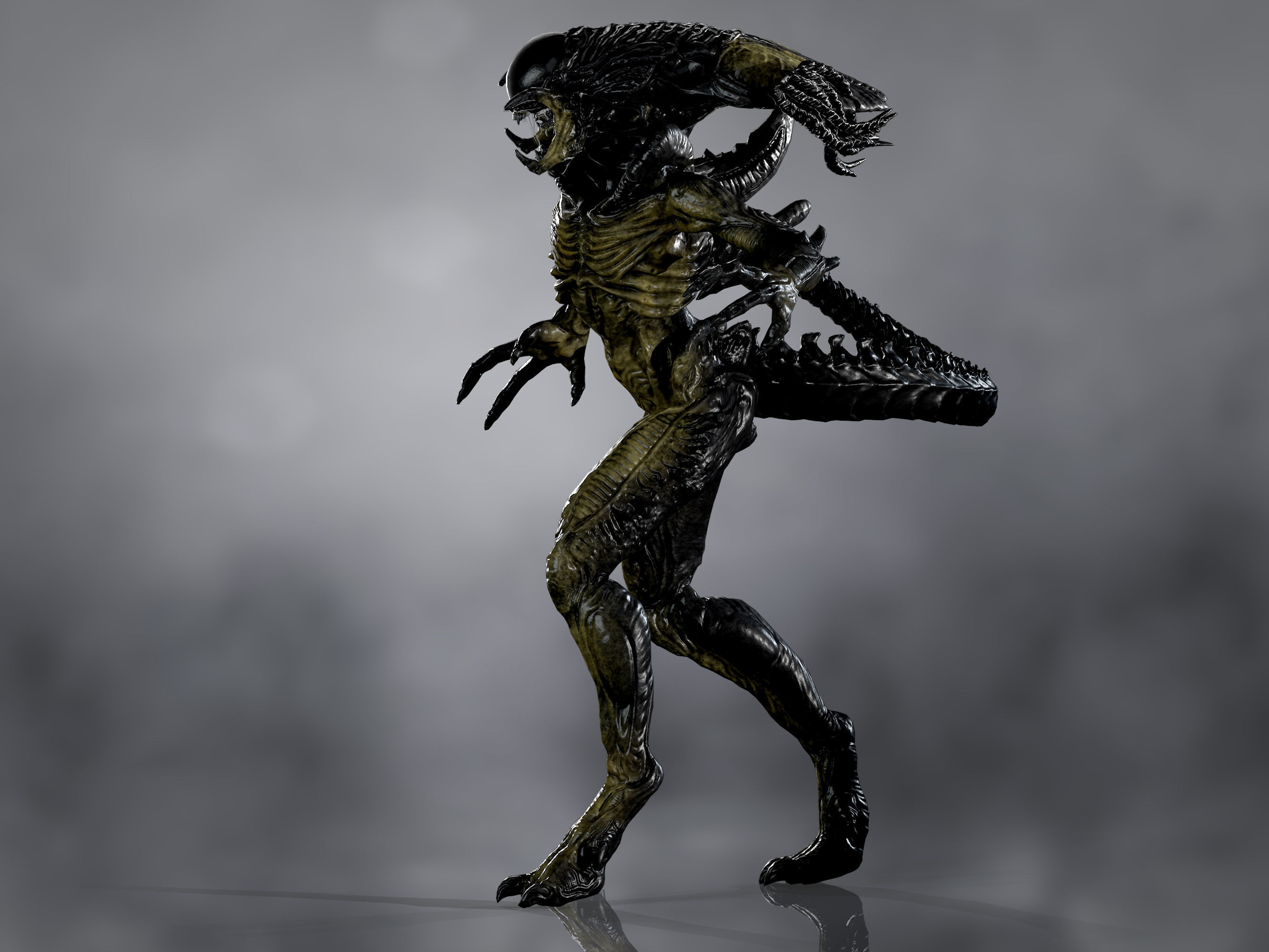 3D model Predalien VR / AR / low-poly rigged | CGTrader