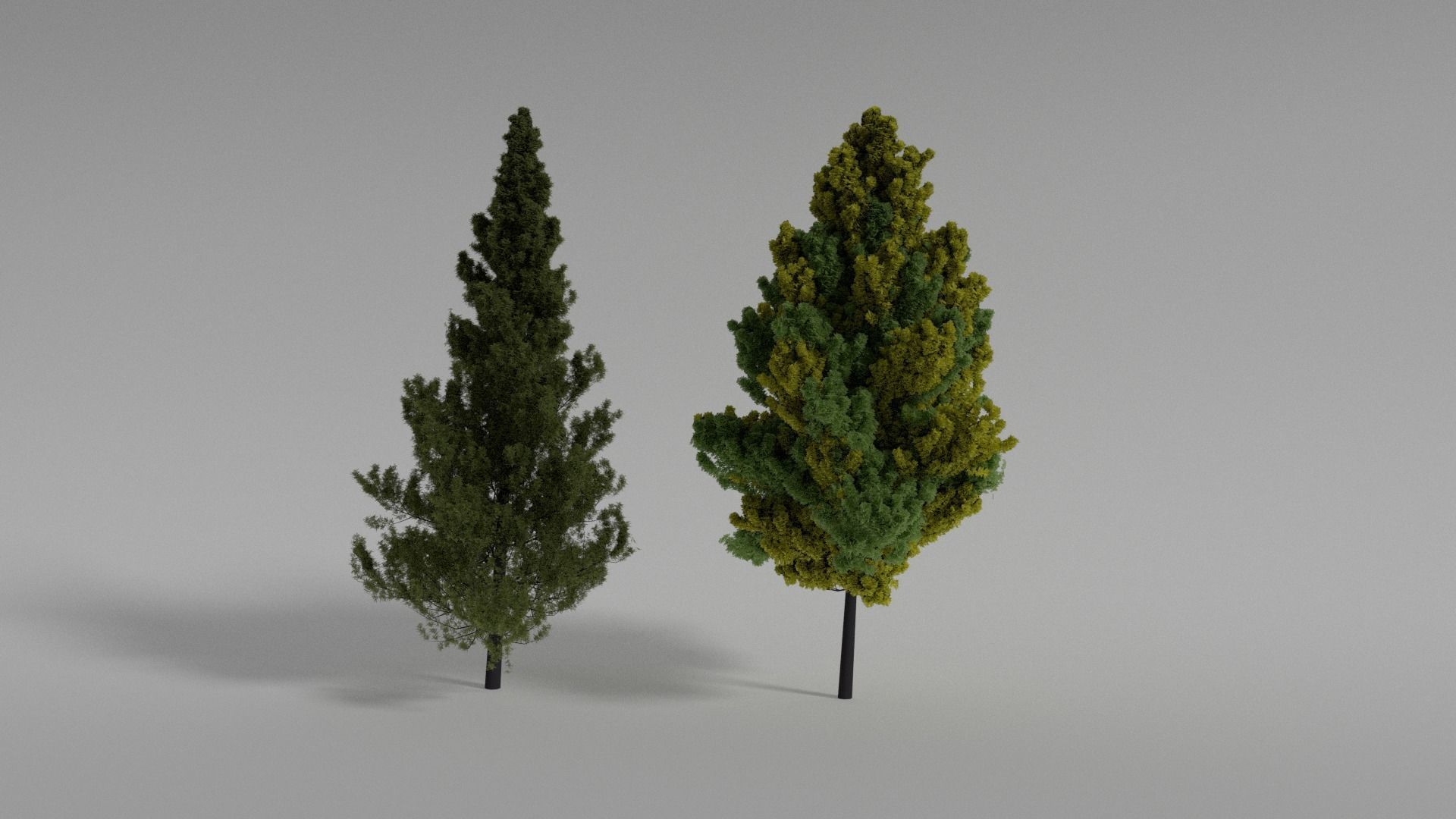 3D model Tree blender VR / AR / low-poly | CGTrader