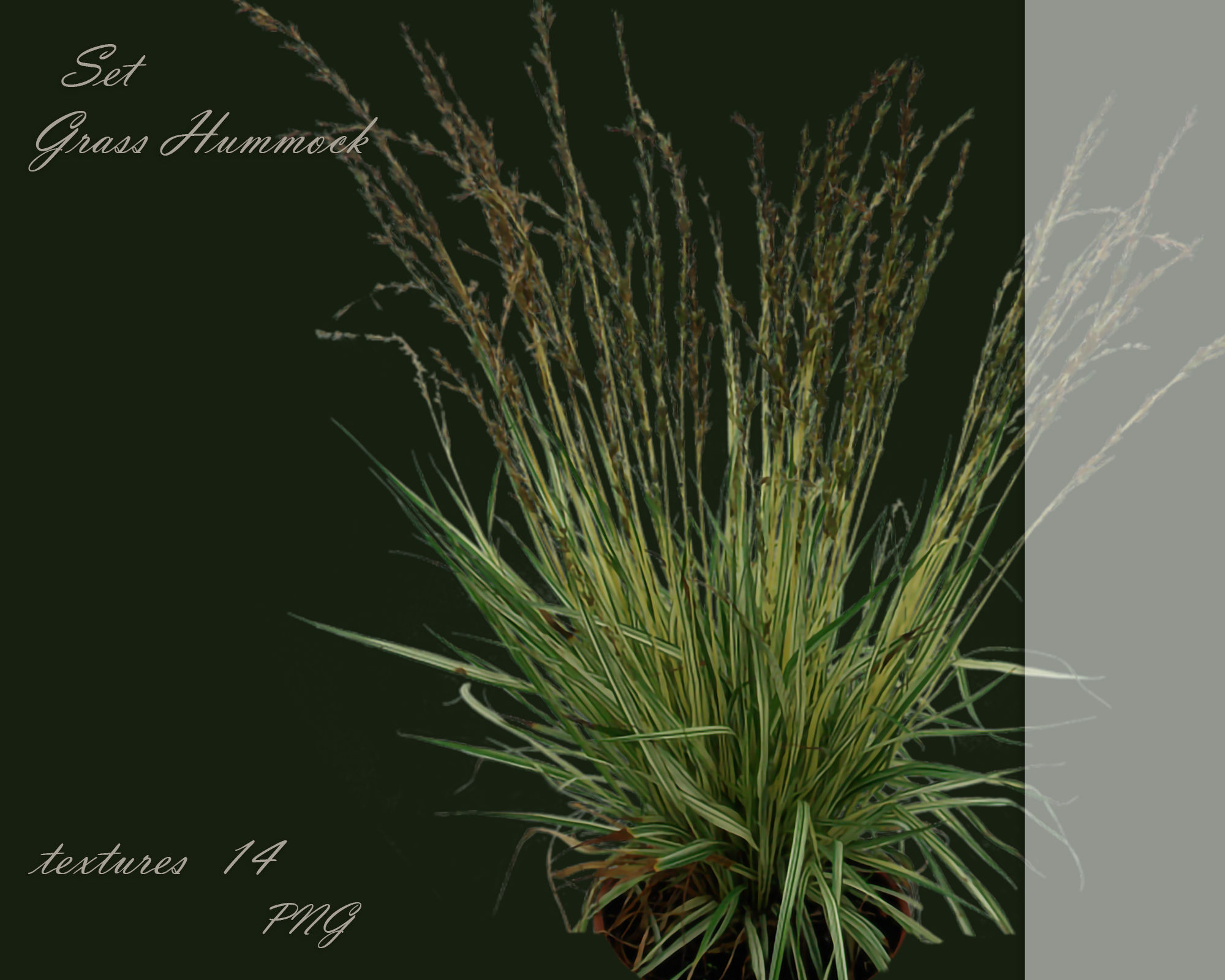 Texture Set of Texture Grass hummock PNG VR / AR / low-poly | CGTrader