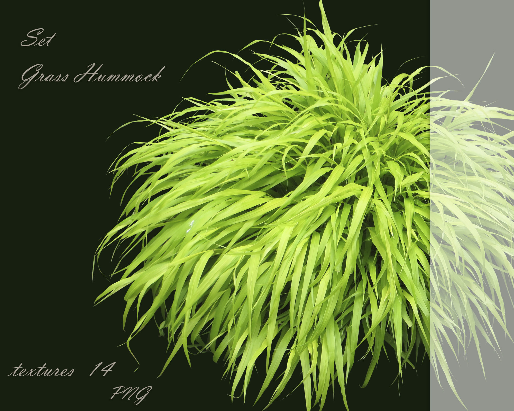 Texture Set of Texture Grass hummock PNG VR / AR / low-poly | CGTrader
