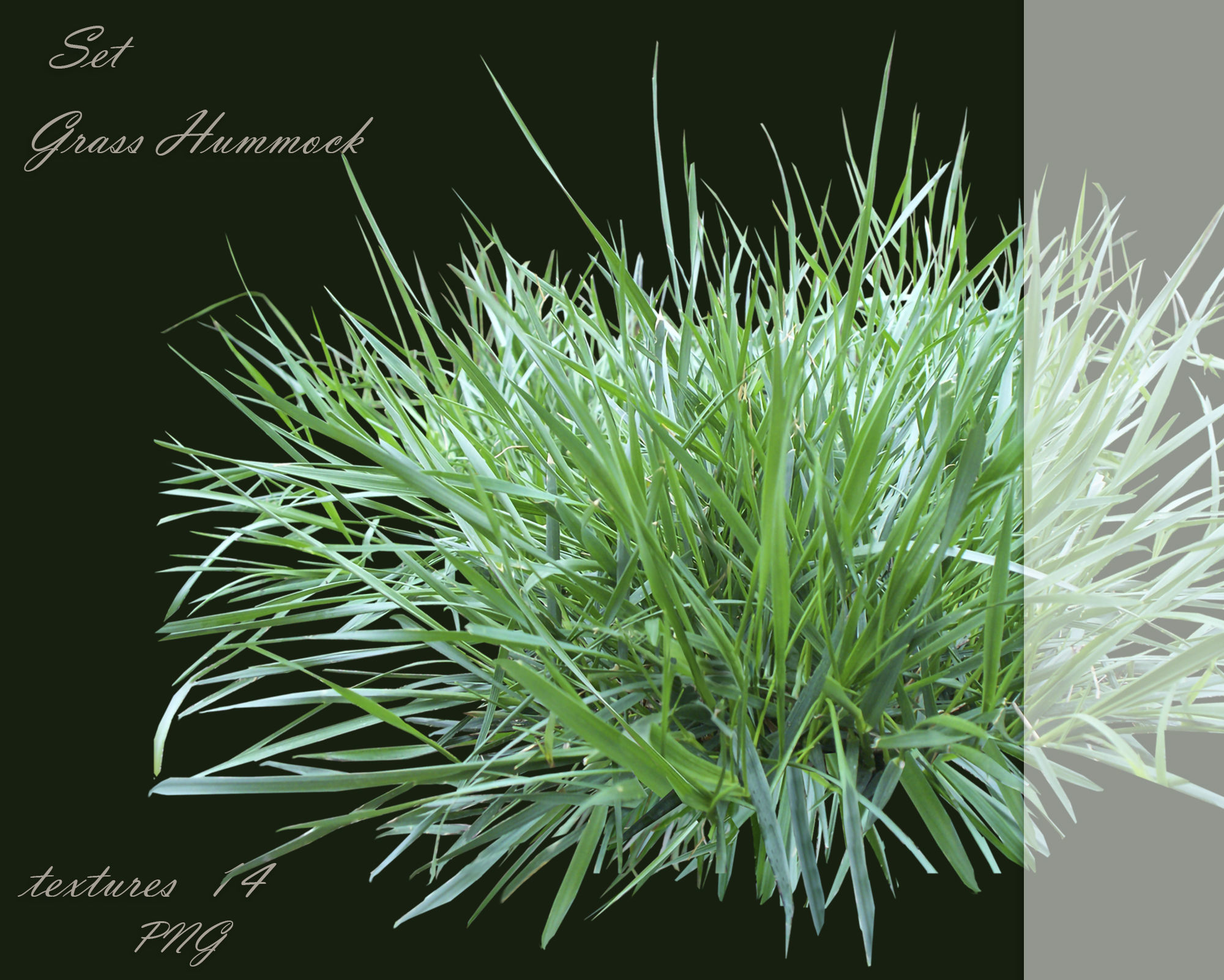 Texture Set of Texture Grass hummock PNG VR / AR / low-poly | CGTrader