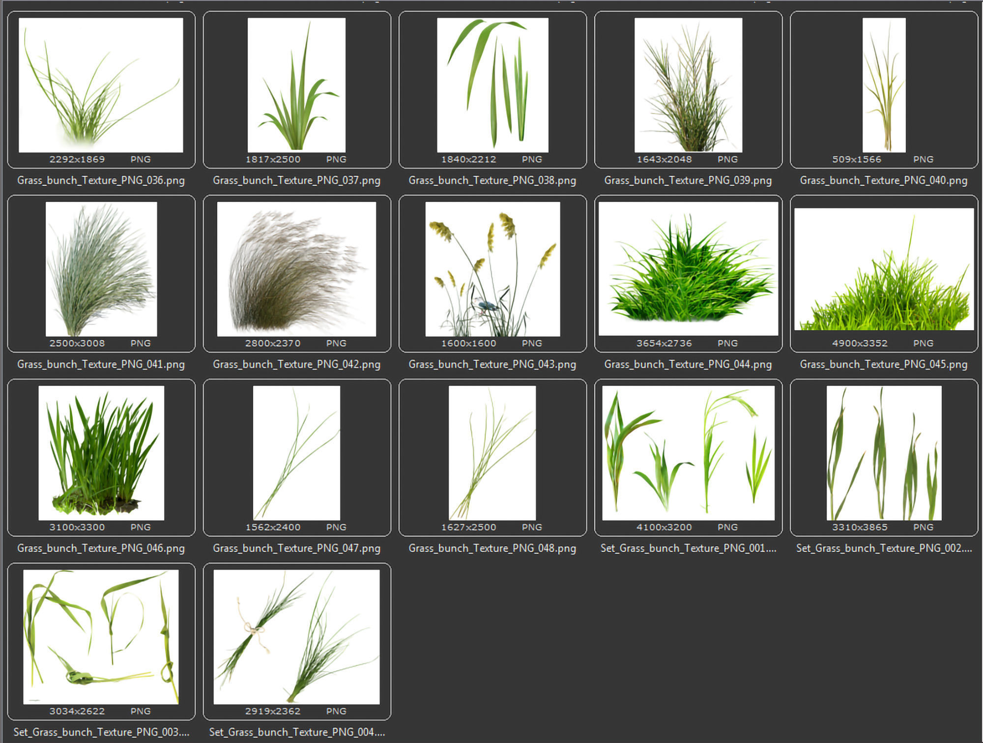 Texture Set of Texture Grass bunch PNG VR / AR / low-poly | CGTrader