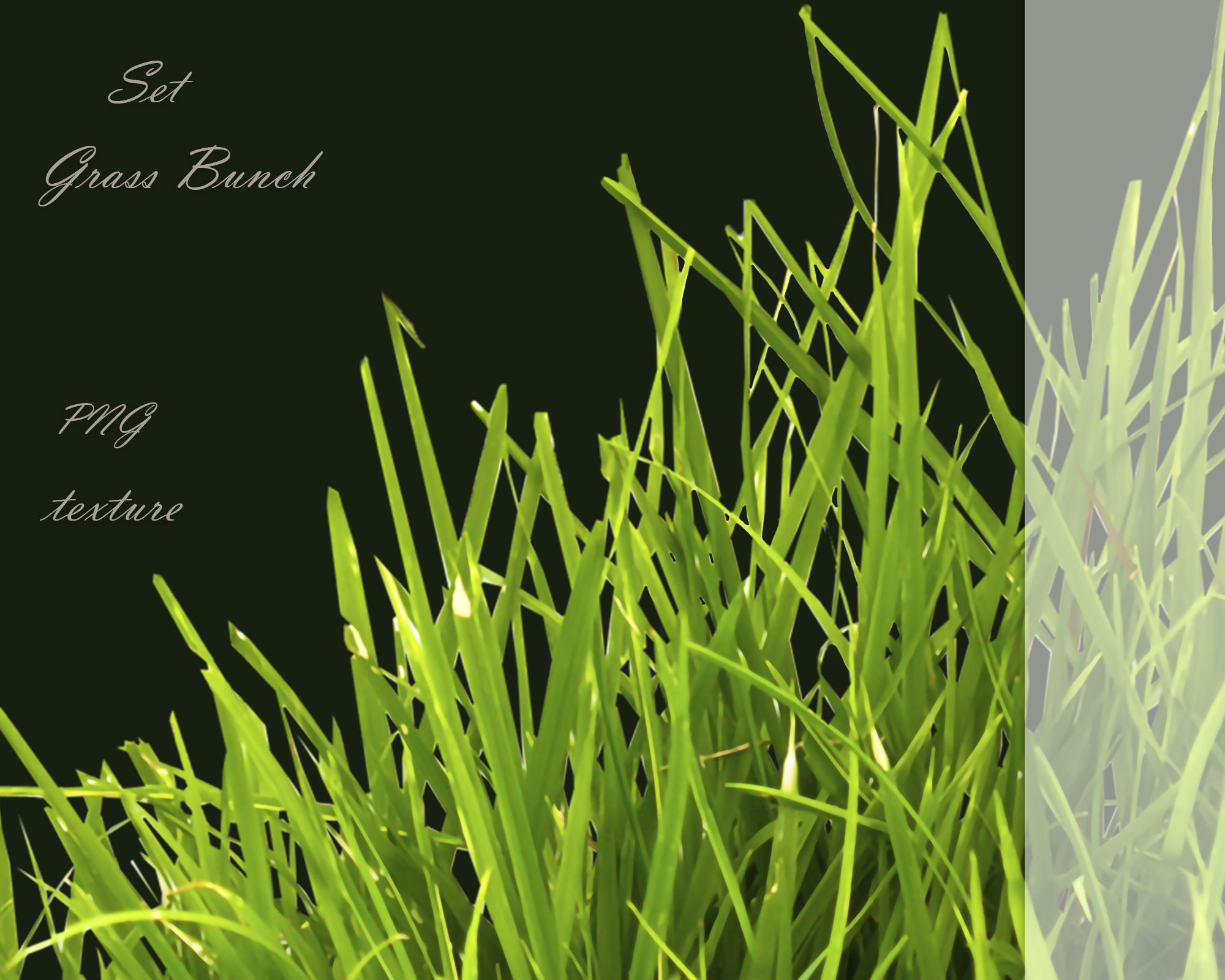 Texture Set of Texture Grass bunch PNG VR / AR / low-poly | CGTrader