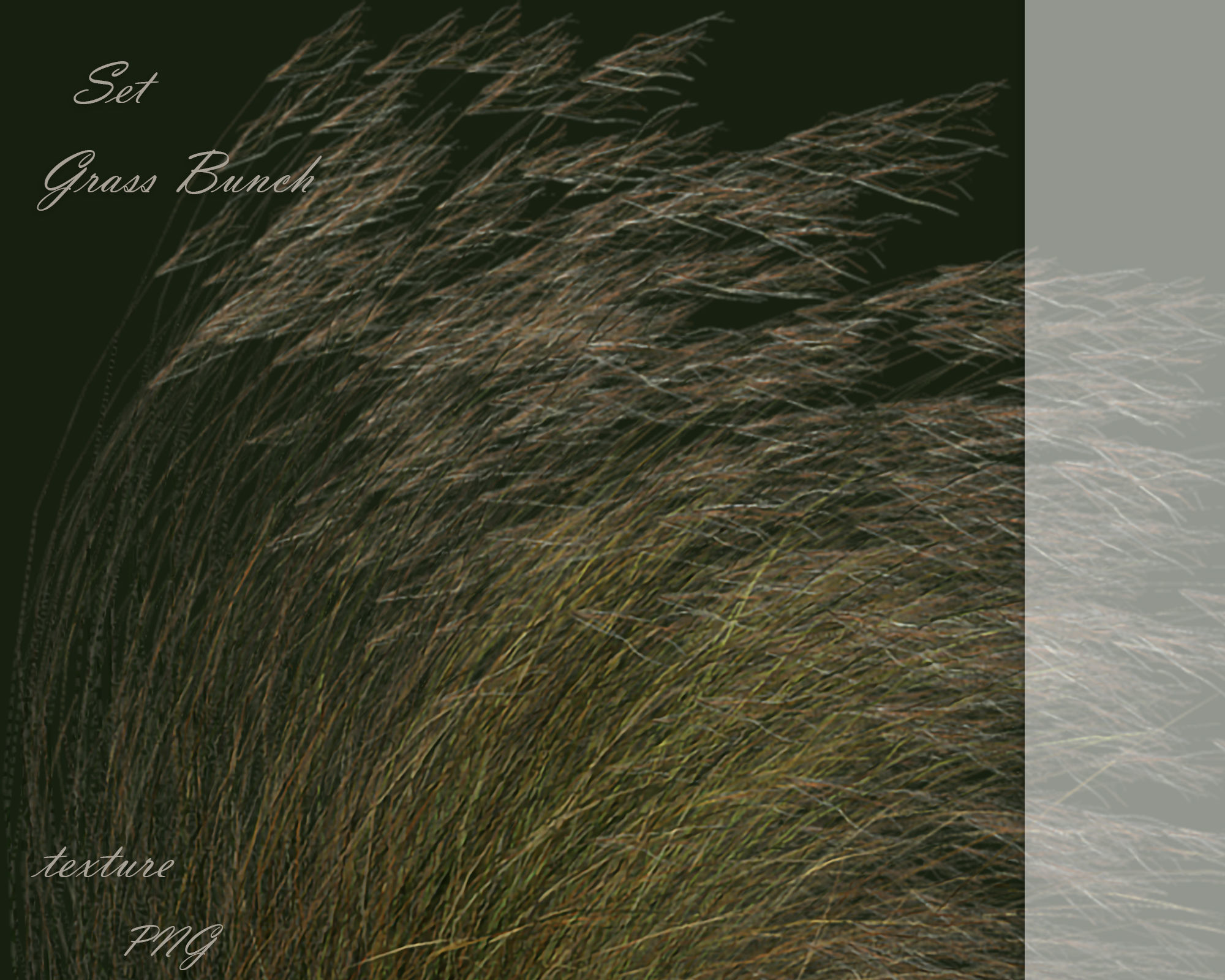 Texture Set of Texture Grass bunch PNG VR / AR / low-poly | CGTrader