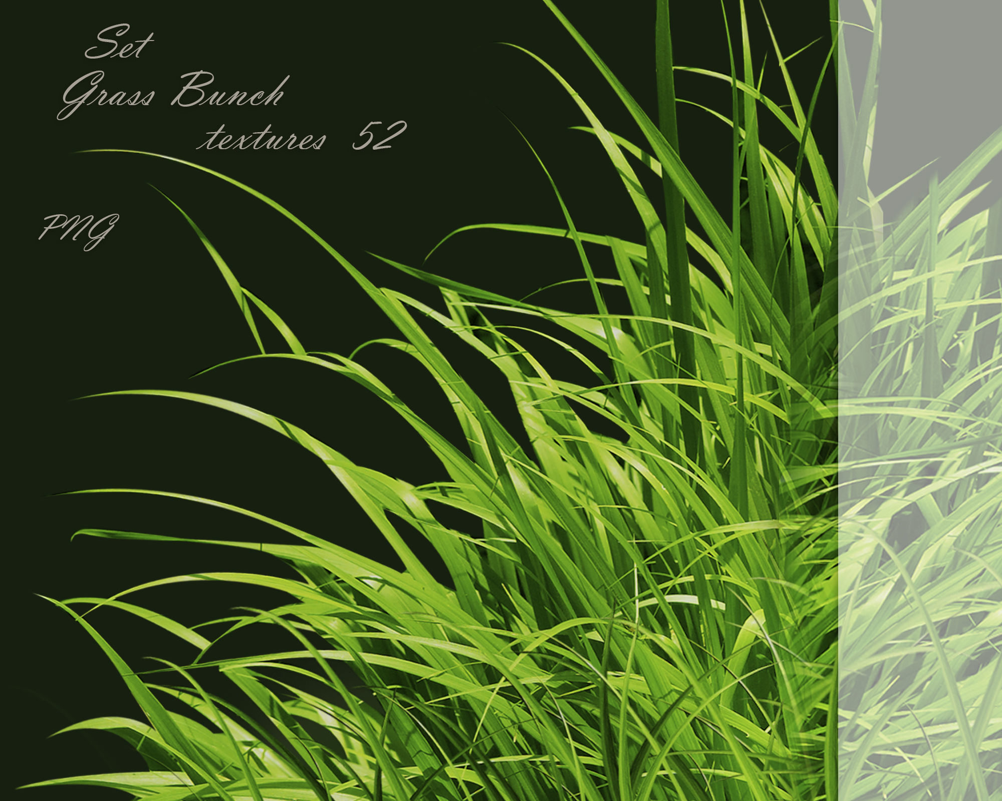 Texture Set of Texture Grass bunch PNG VR / AR / low-poly | CGTrader