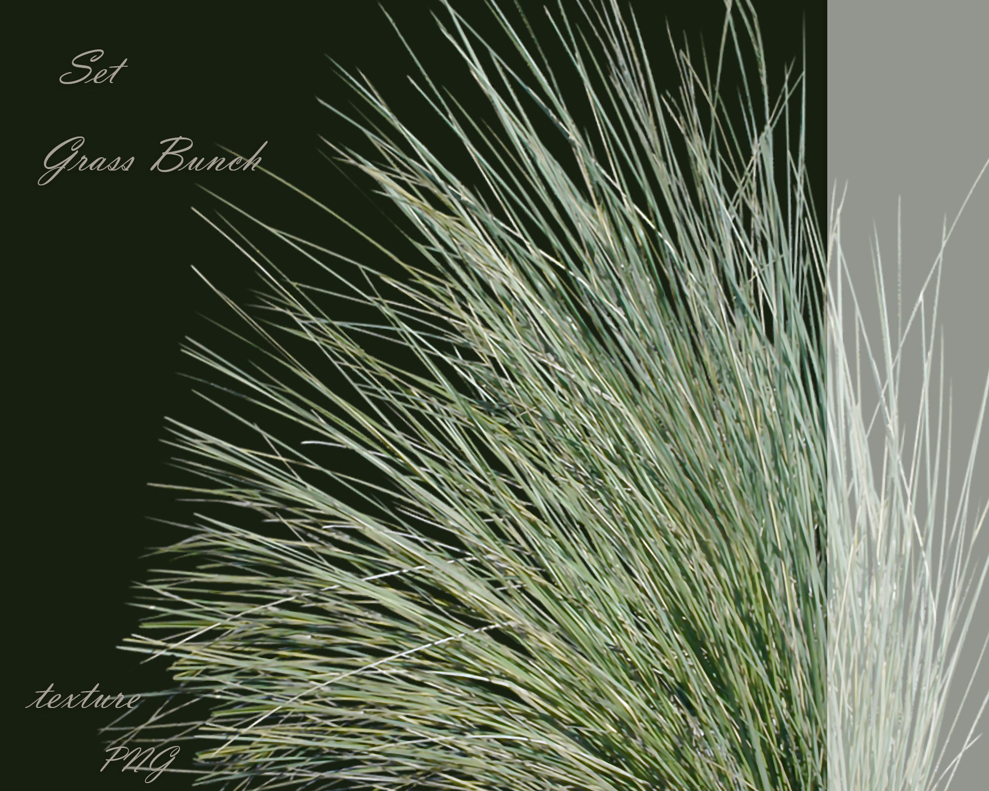 Texture Set of Texture Grass bunch PNG VR / AR / low-poly | CGTrader