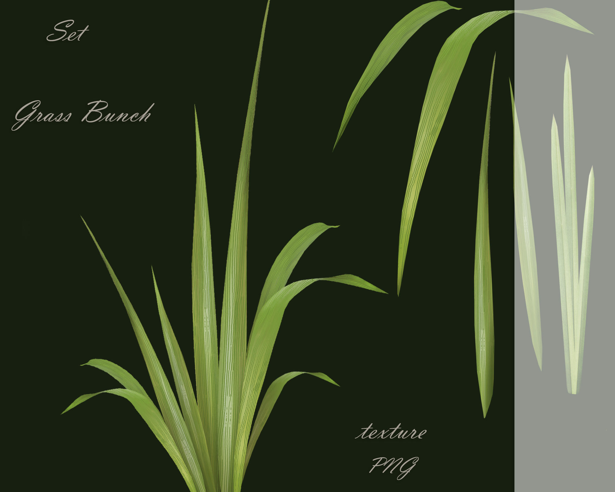 Texture Set of Texture Grass bunch PNG VR / AR / low-poly | CGTrader