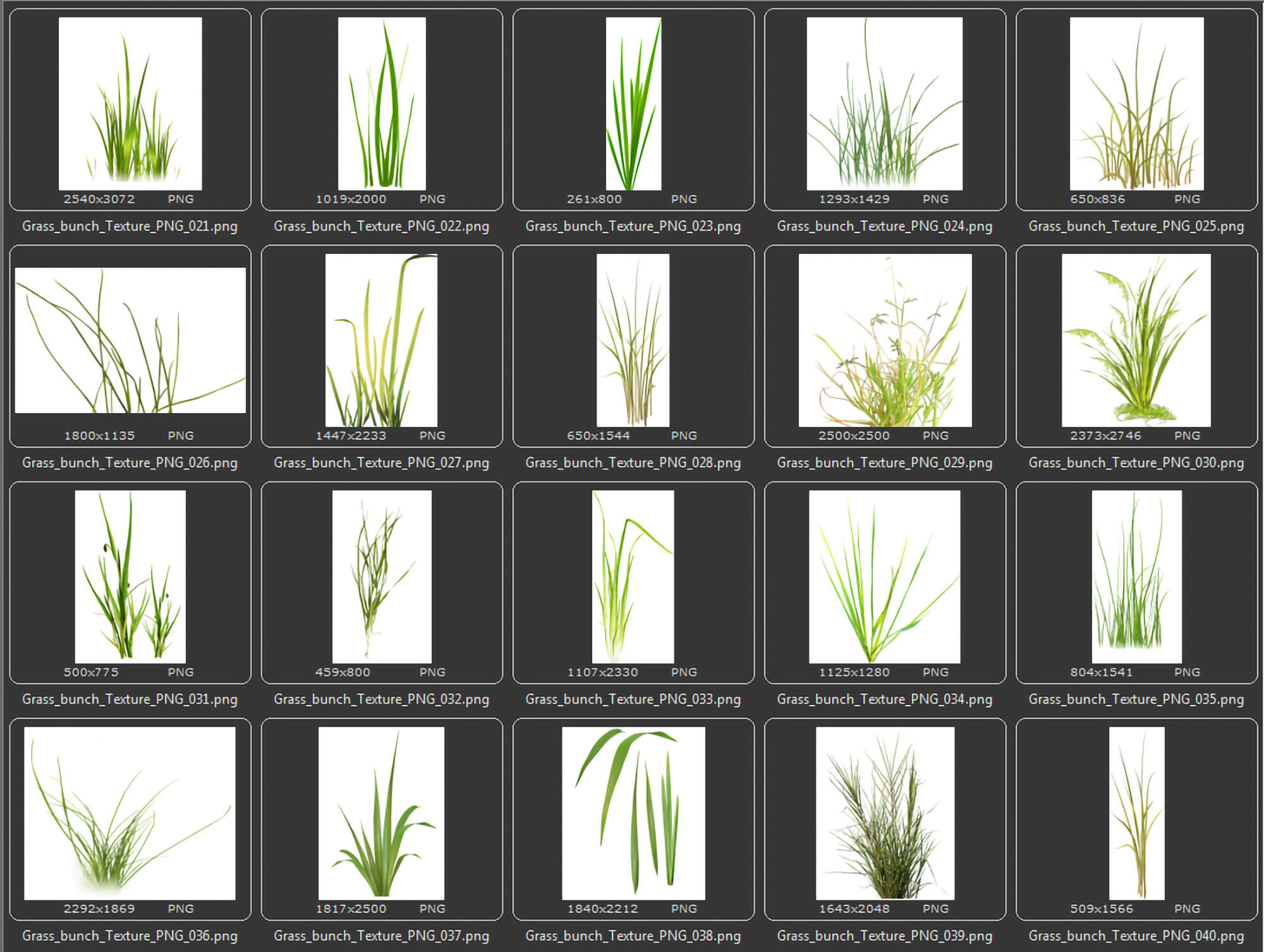 Texture Set of Texture Grass bunch PNG VR / AR / low-poly | CGTrader