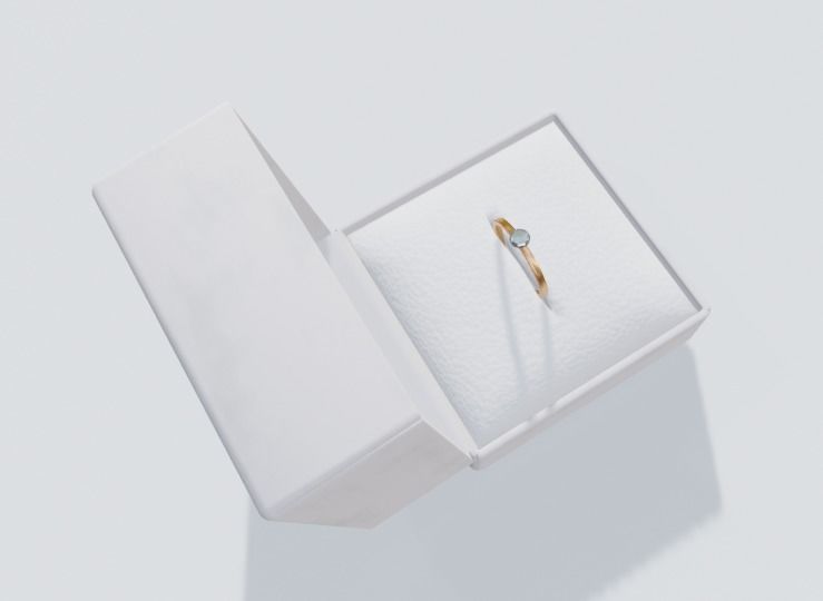 Ring in Blender 3D model | CGTrader