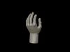 Hands anatomy collection 3D model 3D printable | CGTrader