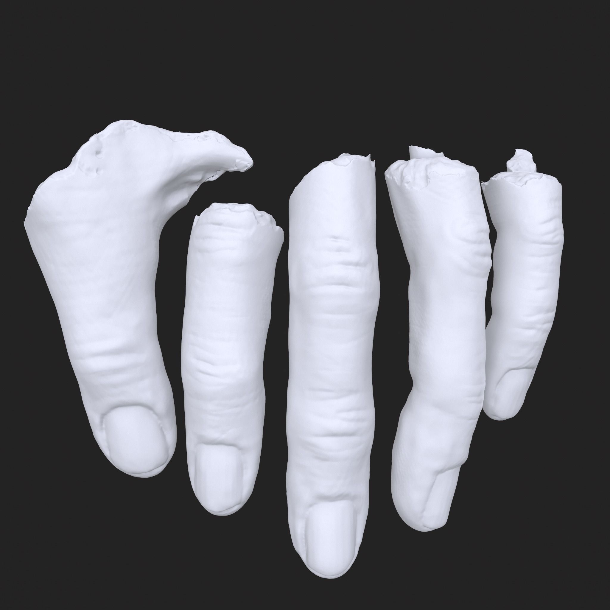 Severed Fingers 3D model 3D printable | CGTrader