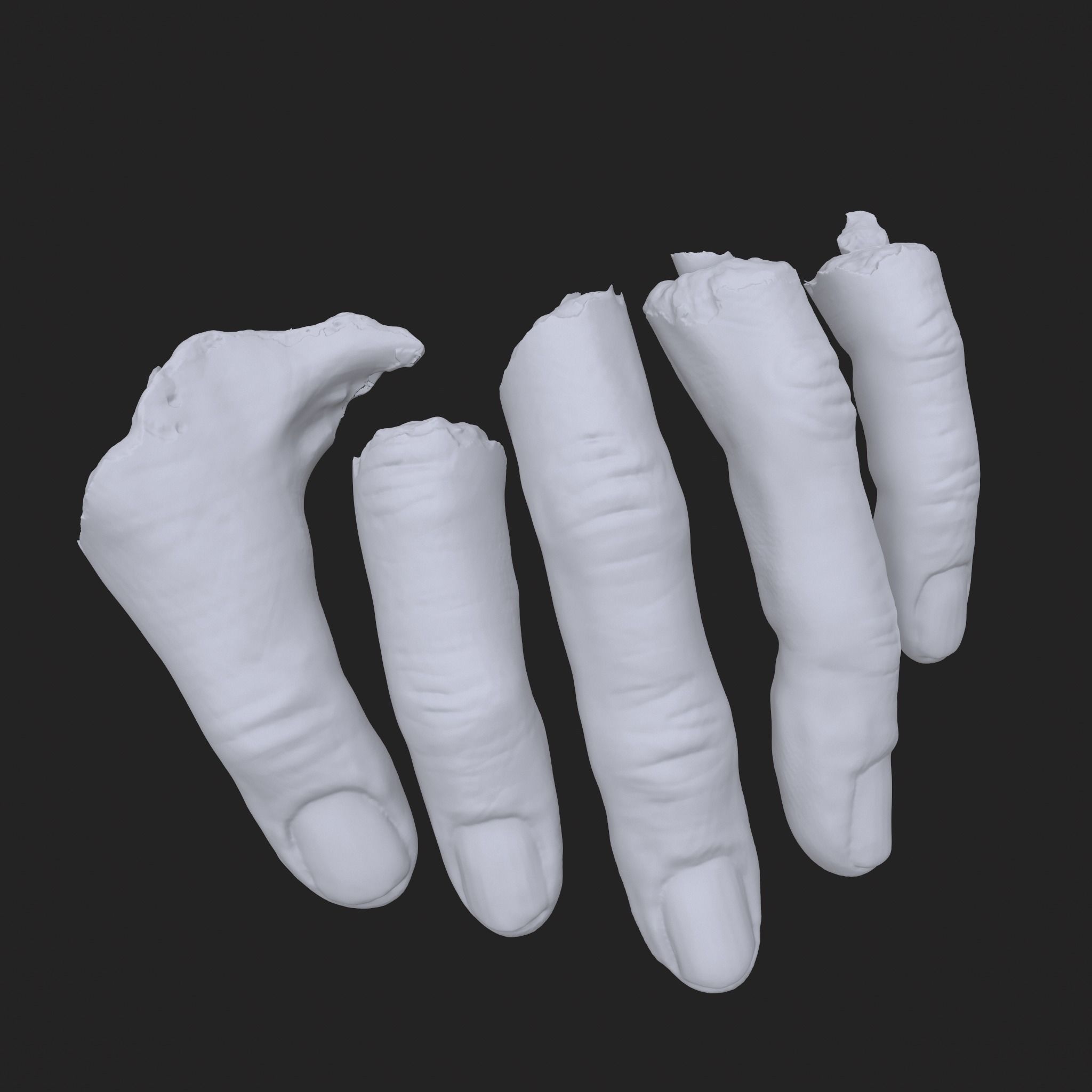 Severed Fingers 3D model 3D printable | CGTrader