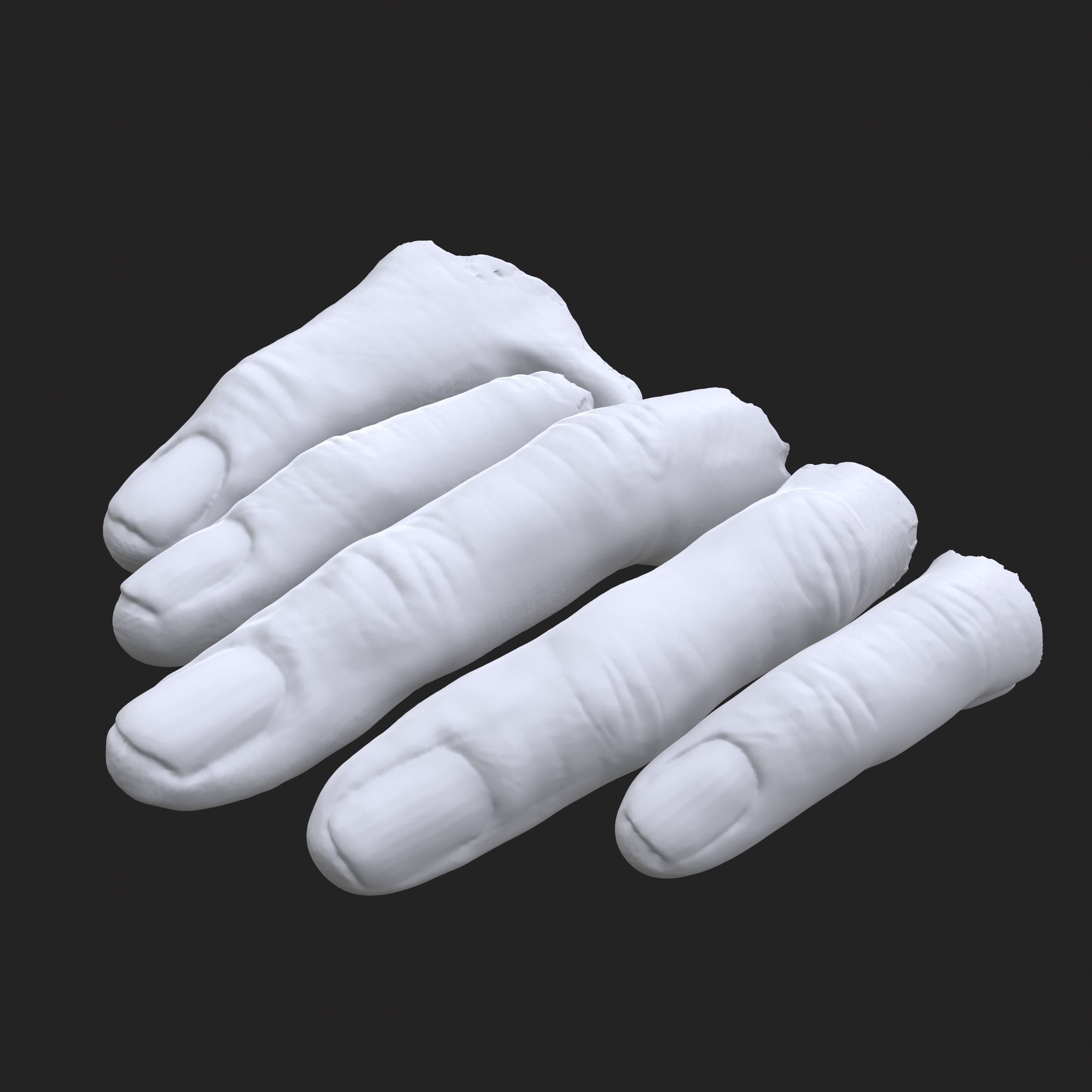 Severed Fingers 3D model 3D printable | CGTrader