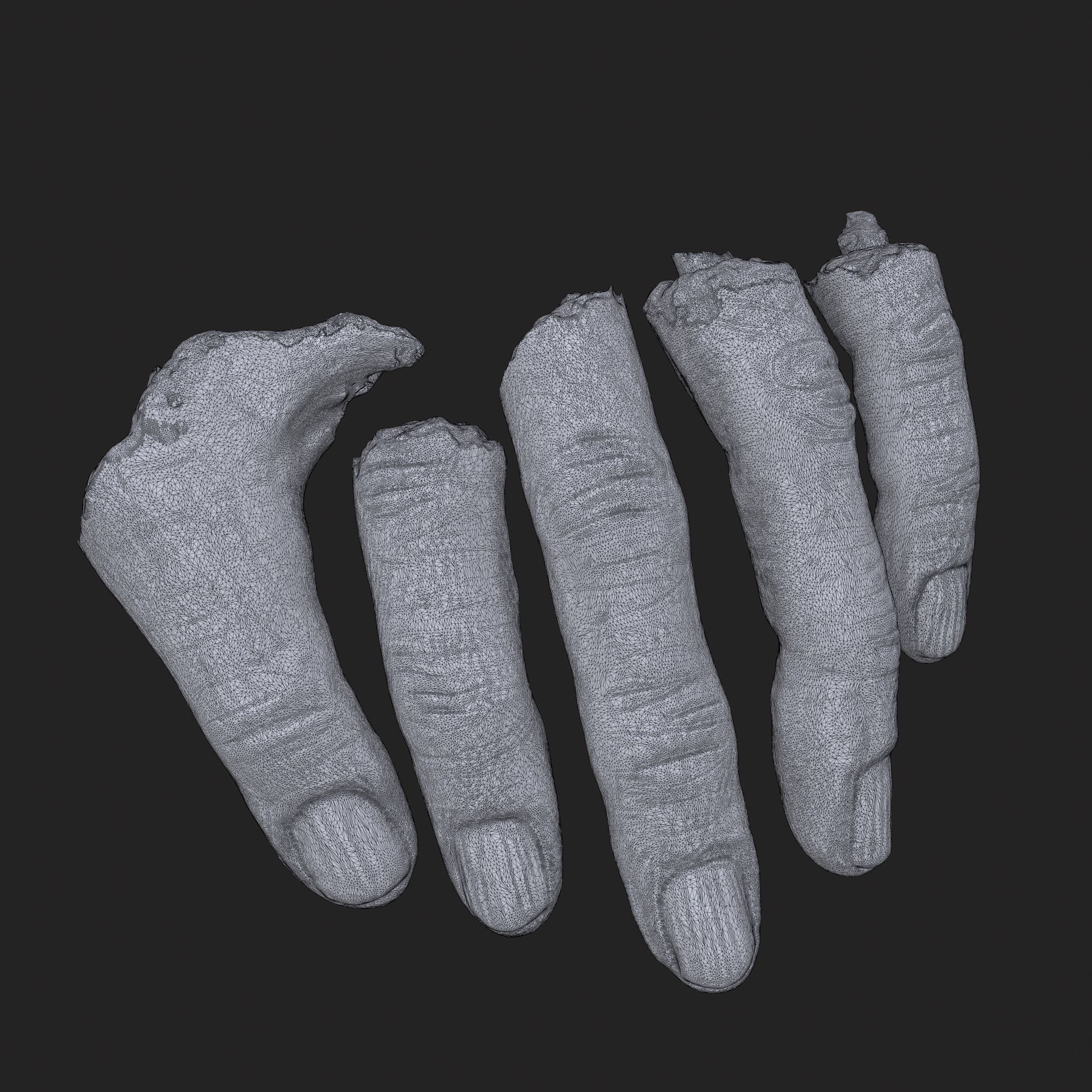 Severed Fingers 3D model 3D printable | CGTrader