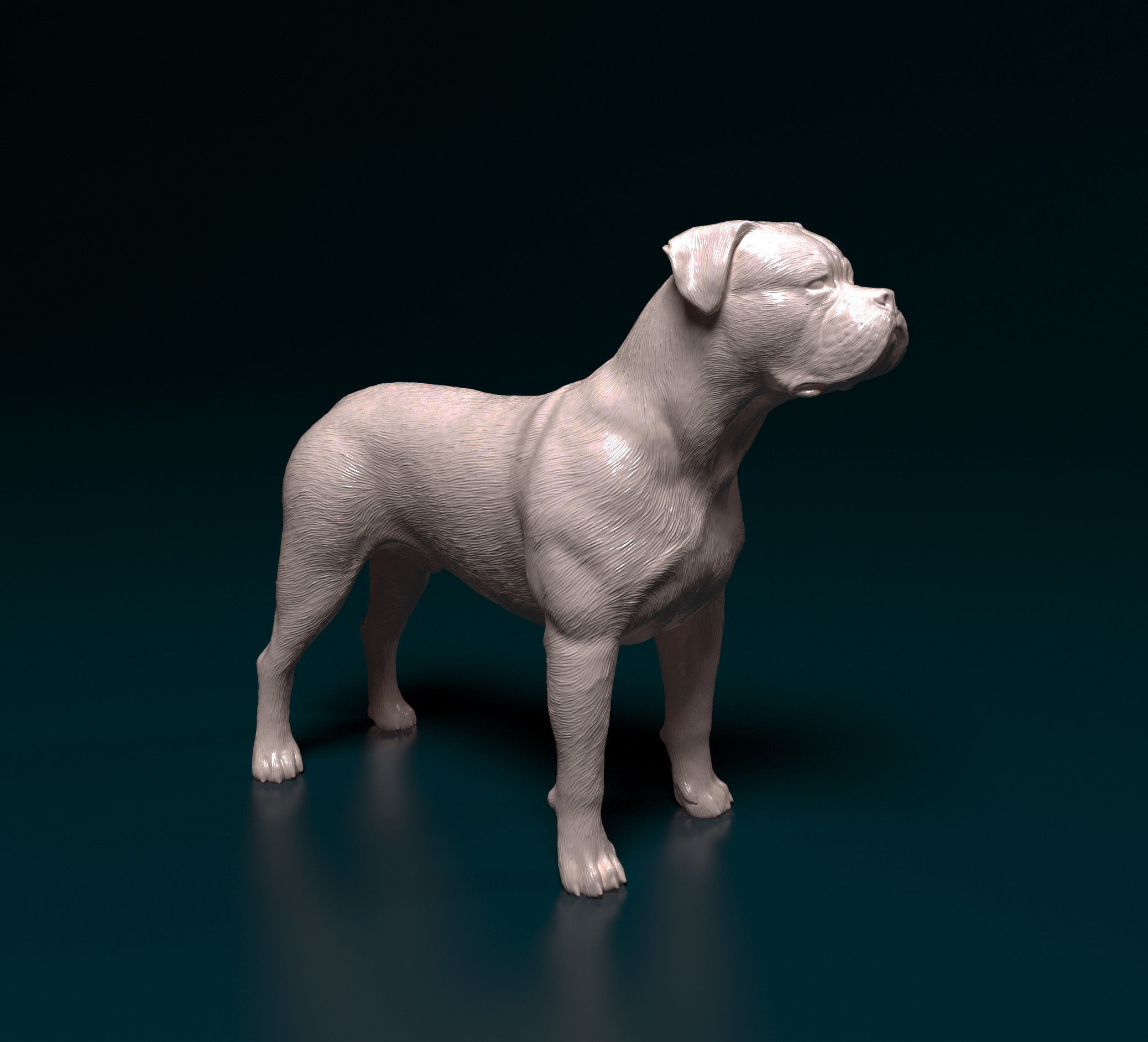 American Bulldog 3D model 3D printable | CGTrader