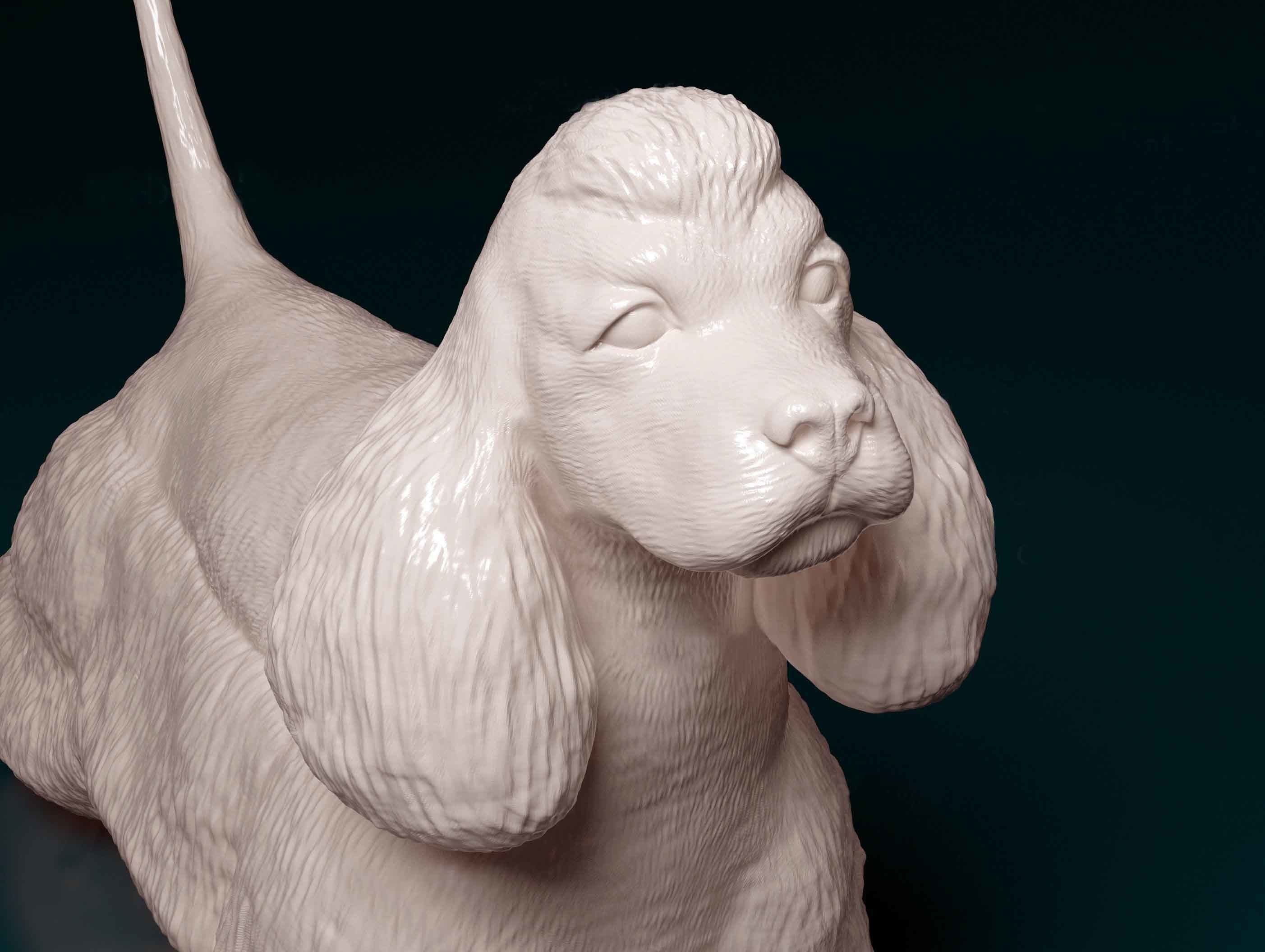 American Cocker Spaniel 3D model 3D printable | CGTrader