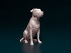 American Bulldog 3D model 3D printable | CGTrader