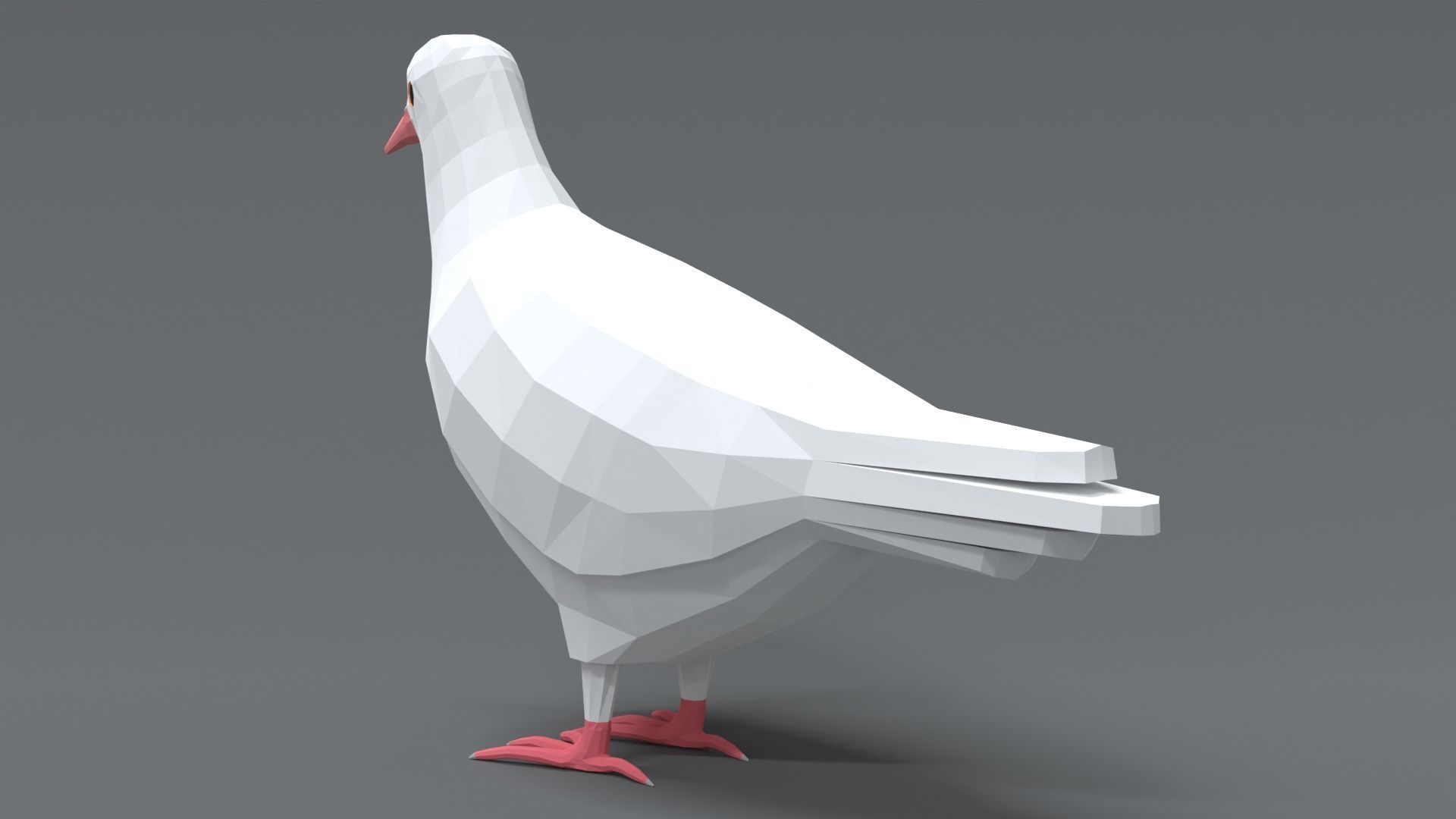 3D model Low Poly Cartoon White Pigeon VR / AR / low-poly | CGTrader