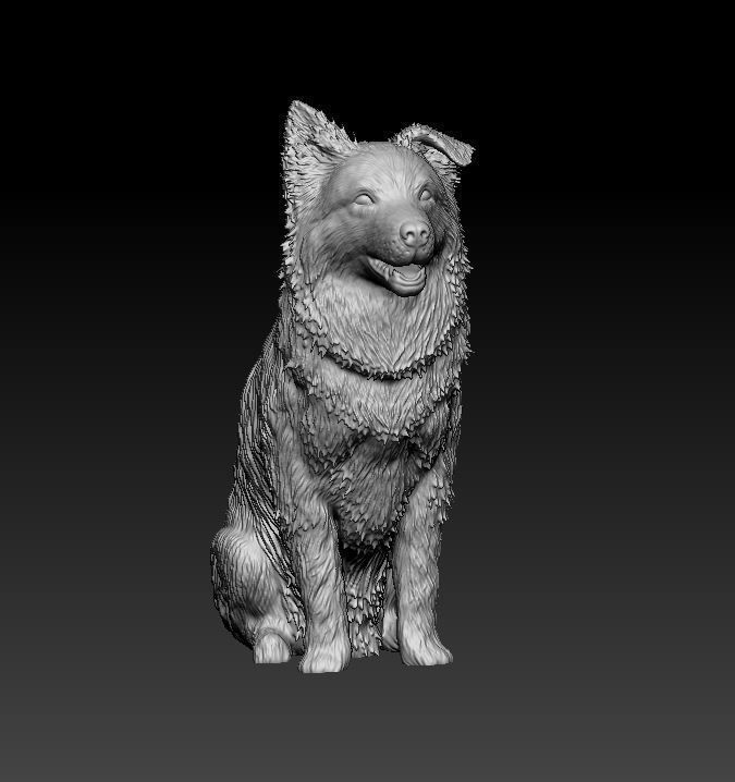 Border Collie 3D model 3D printable | CGTrader