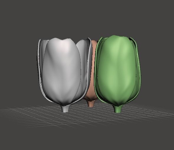 Tulip 3D models 3D model 3D printable | CGTrader