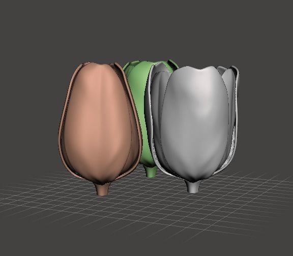 Tulip 3d Models 3d Model 3d Printable Cgtrader