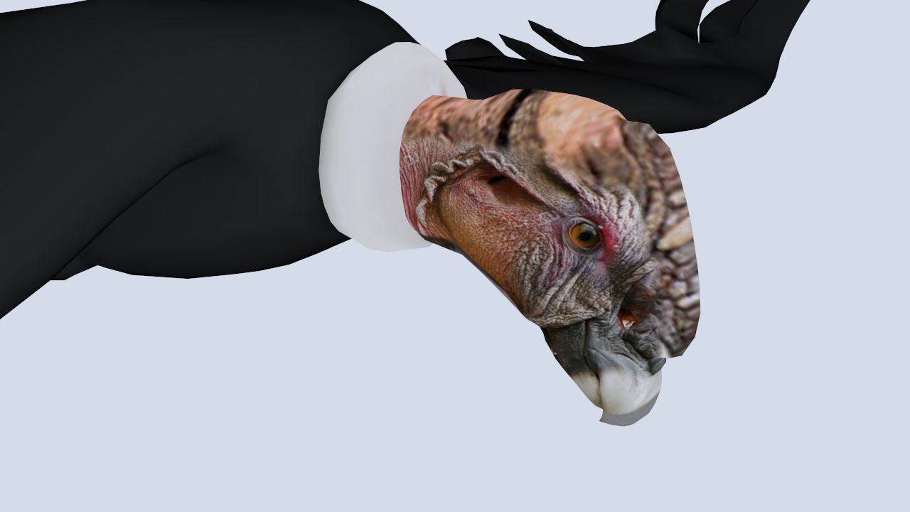 3D model Animated Rigged Condor VR / AR / low-poly | CGTrader