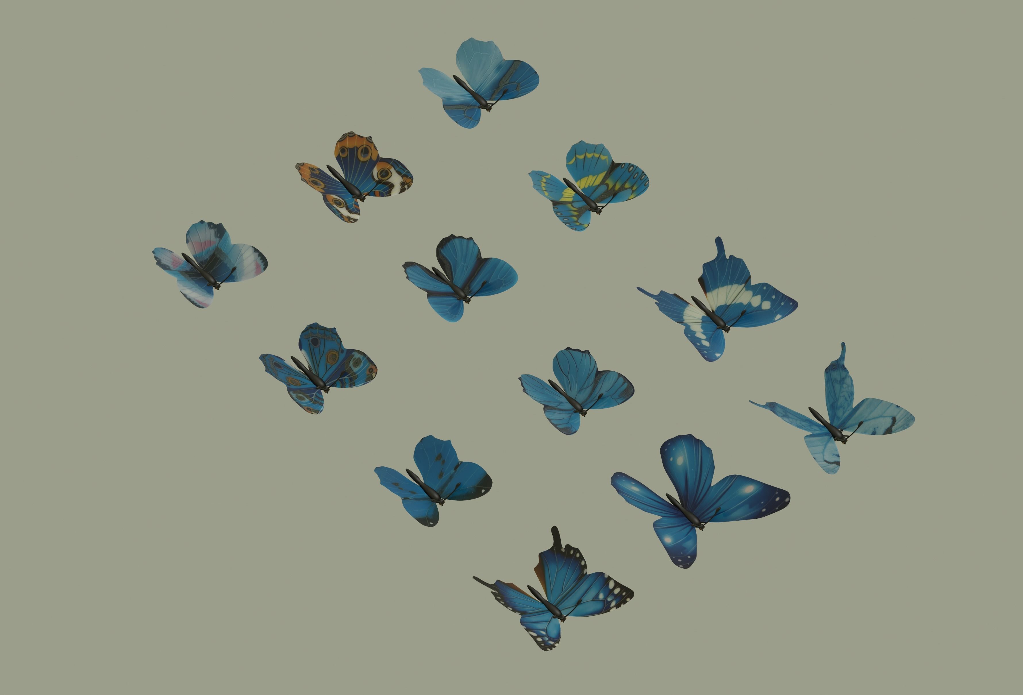 Butterflies 3D model rigged | CGTrader