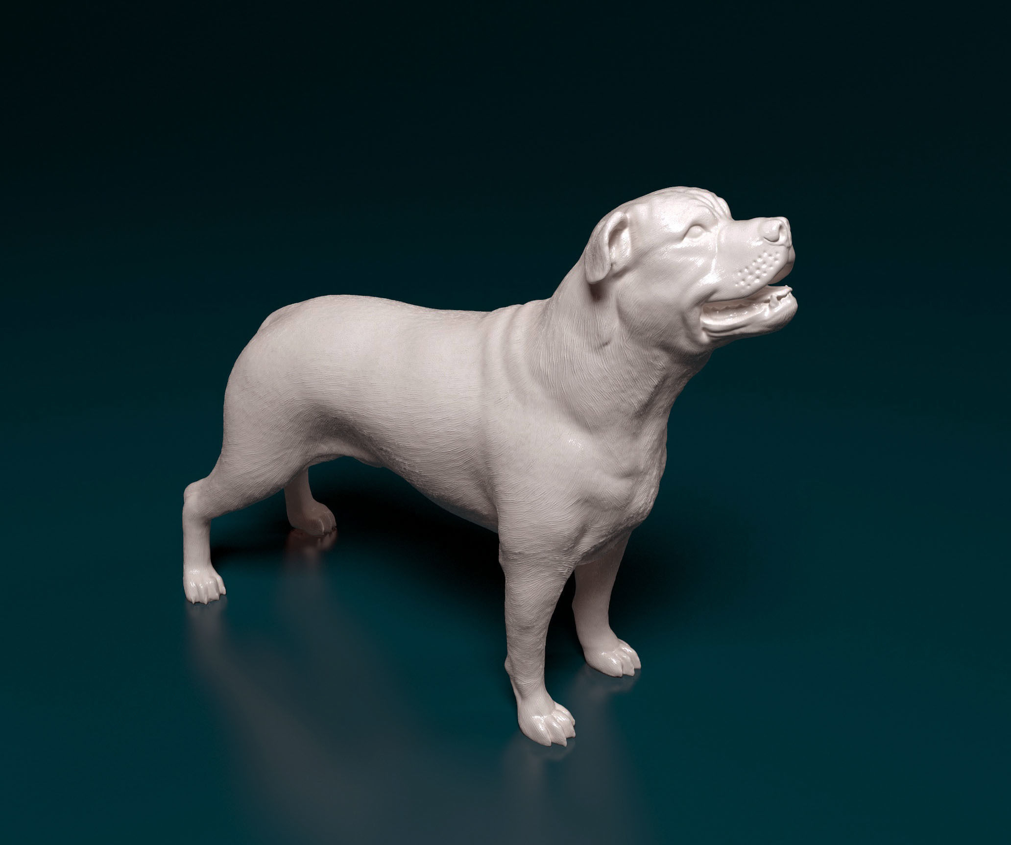 Ca de bou 3D model 3D printable | CGTrader