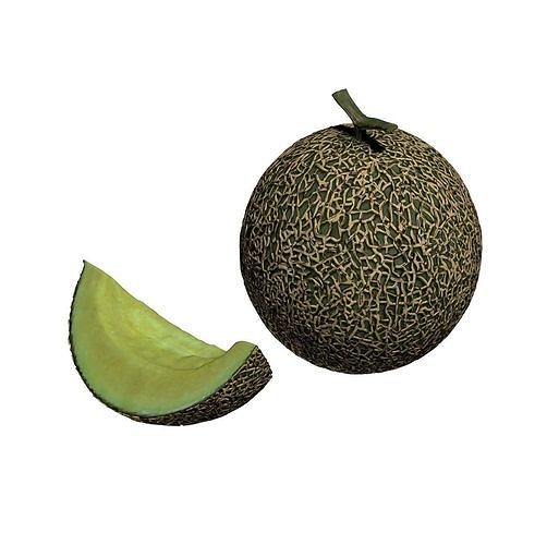 Melon 3D model | CGTrader