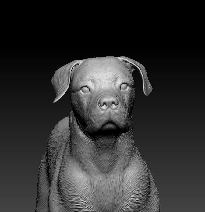 Cane Corso 3D model 3D printable | CGTrader