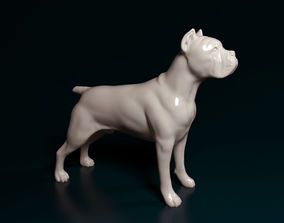 Cane 3D Print Models | CGTrader