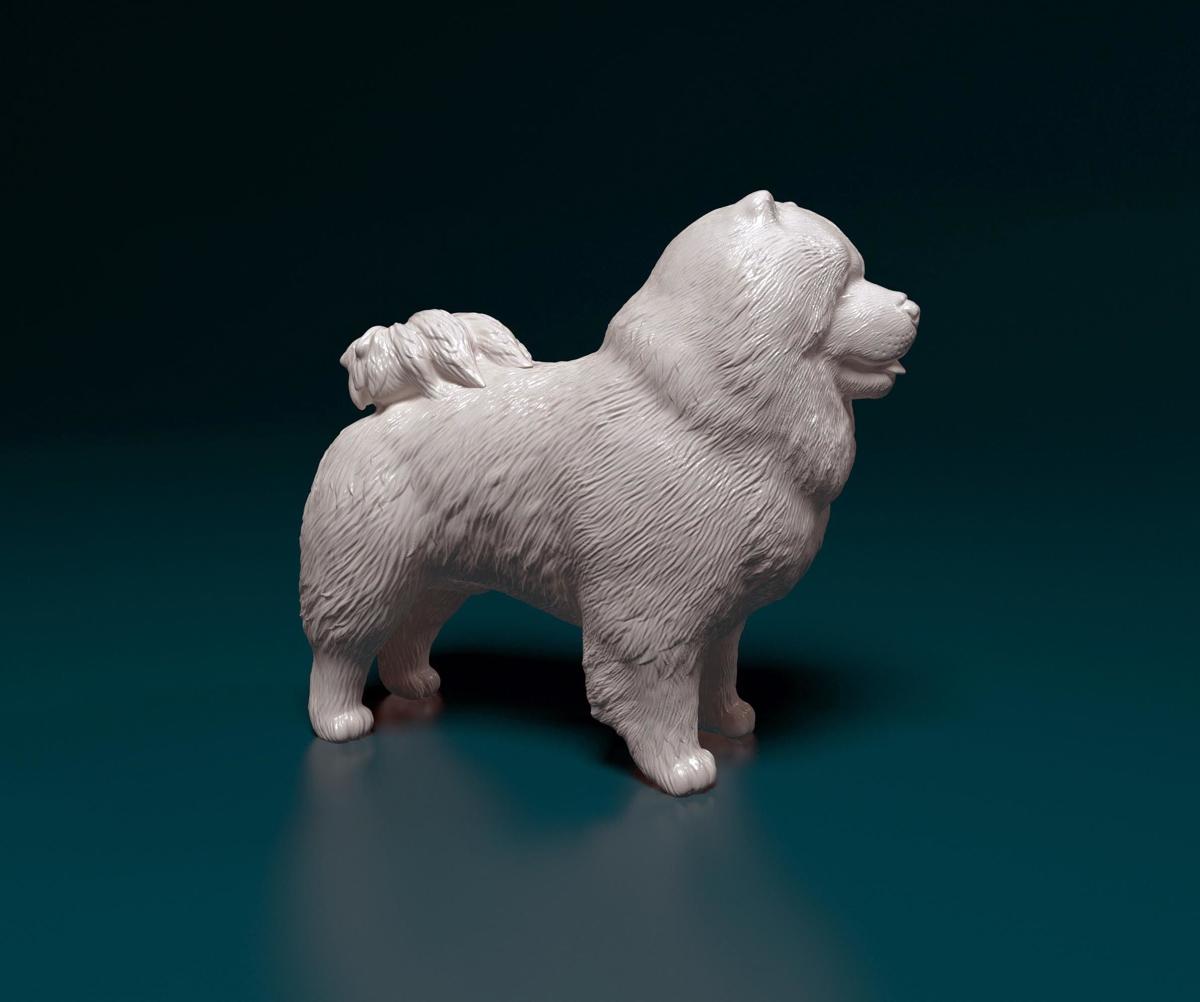 Chow-chow dog 3D model 3D printable | CGTrader