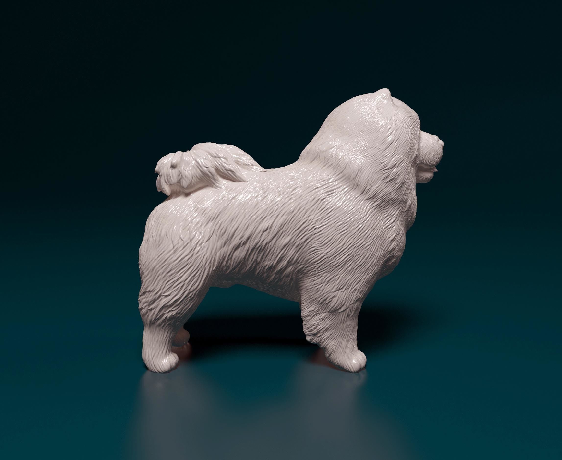 Chow-chow dog 3D model 3D printable | CGTrader