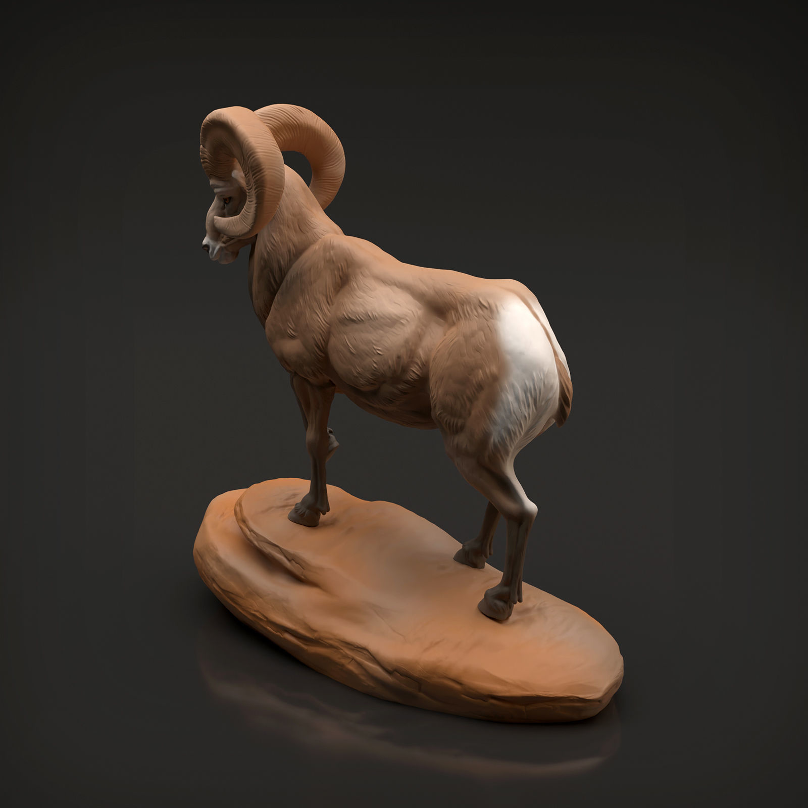 Bighorn Ram for 3D Printing 3D model 3D printable | CGTrader