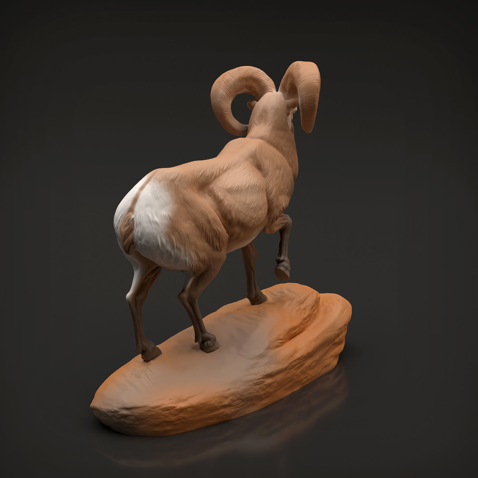 Bighorn Ram for 3D Printing 3D model 3D printable | CGTrader