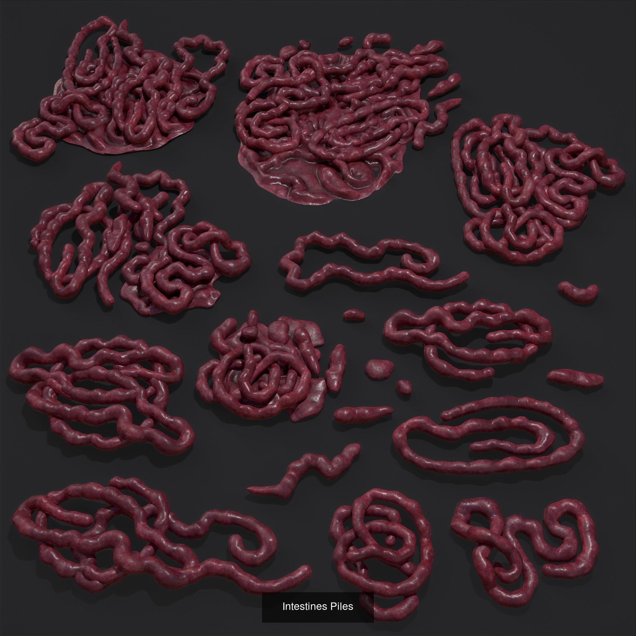 3D Model Collection Intestines and Torso VR / AR / low-poly | CGTrader