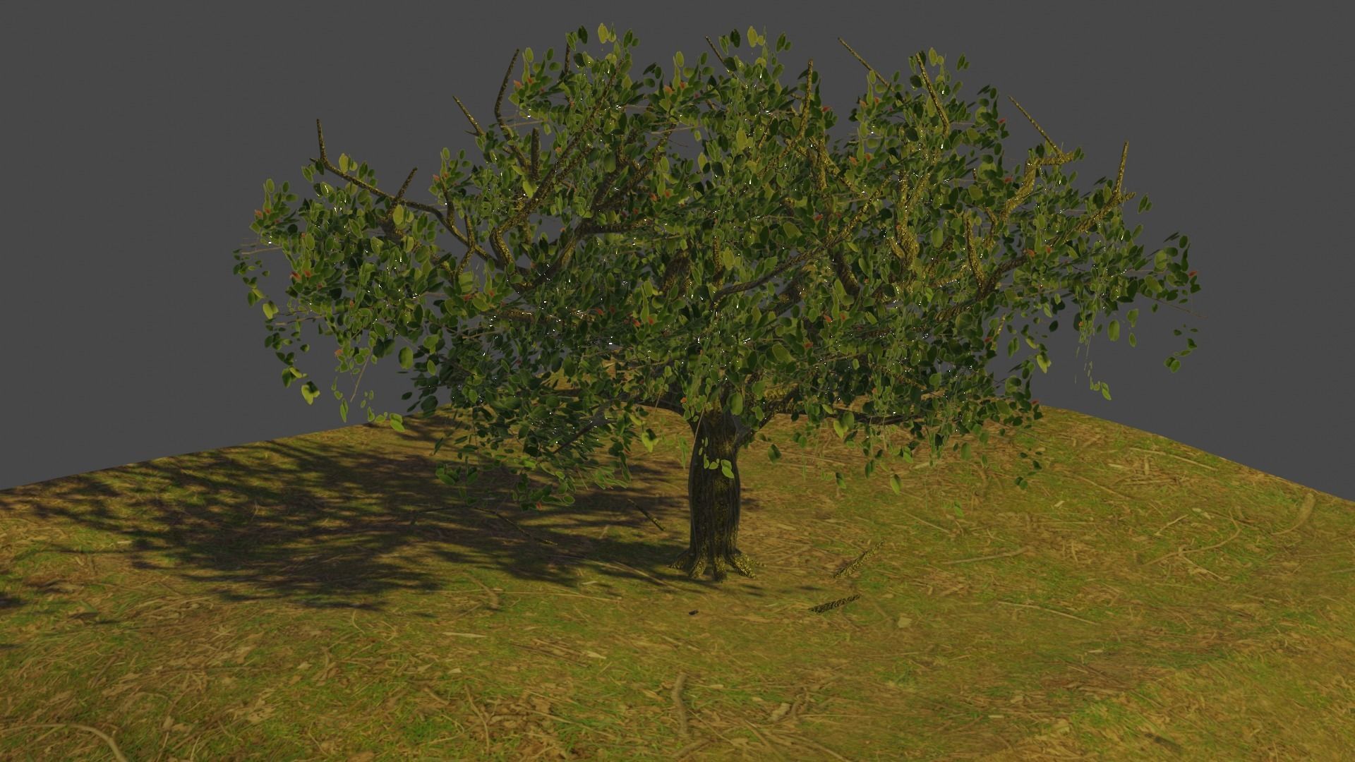 Good tree for your game or visualizations 3D model | CGTrader