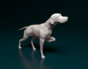 Pointer 3D Models | CGTrader