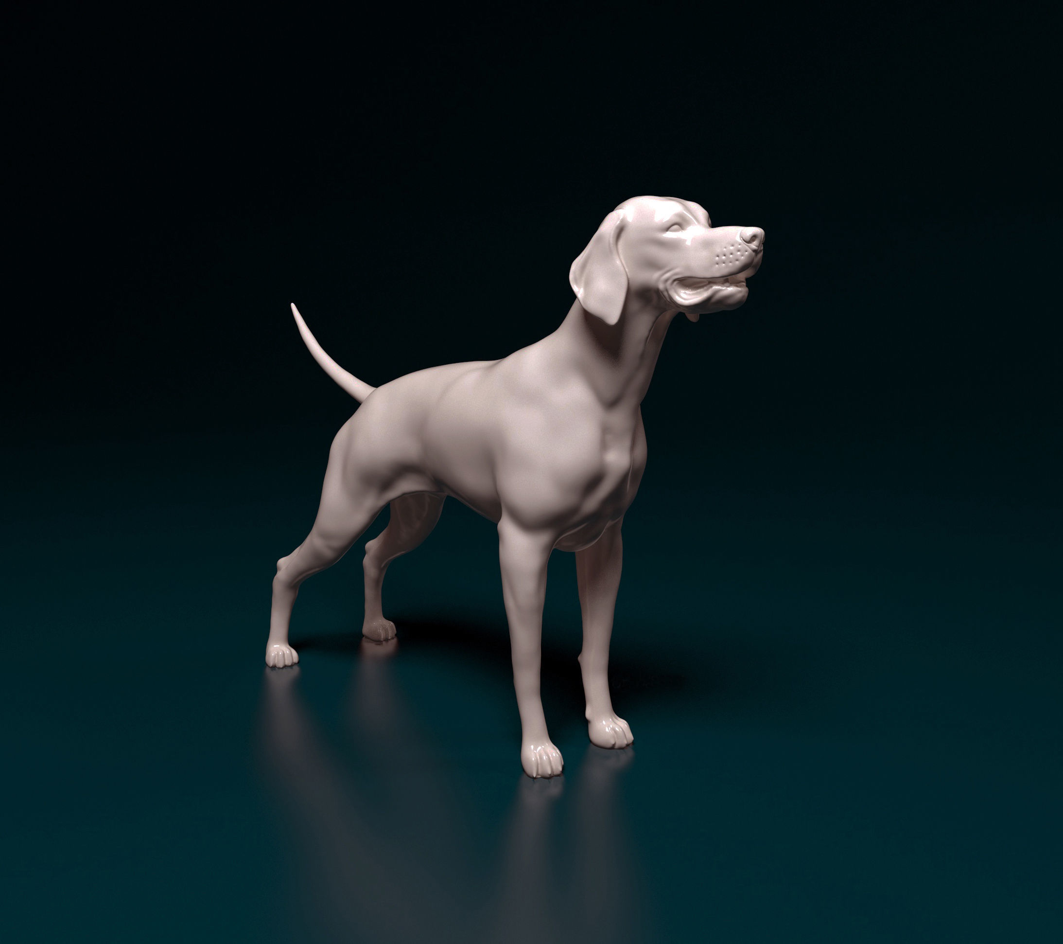 English Pointer 3D model 3D printable | CGTrader