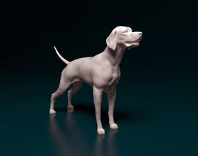 Pointer 3D Models | CGTrader