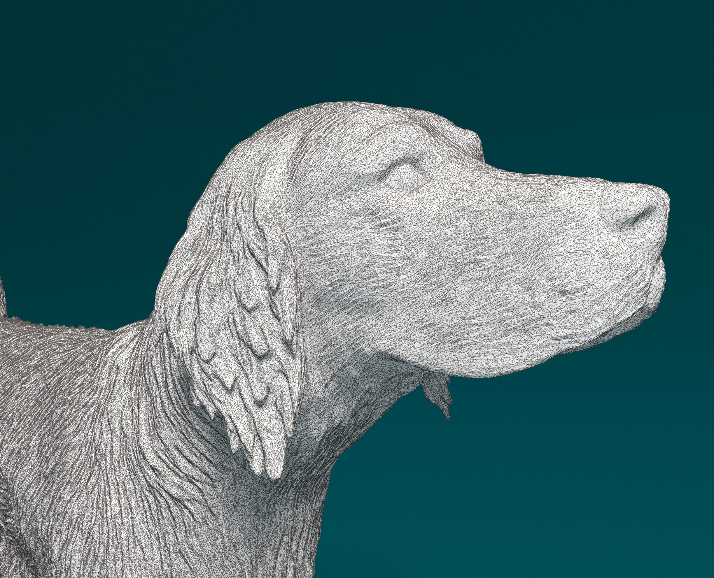 English Setter 3D model 3D printable | CGTrader