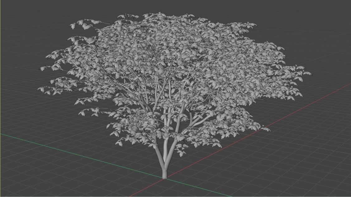 Beautifull japanese maple 3D model | CGTrader