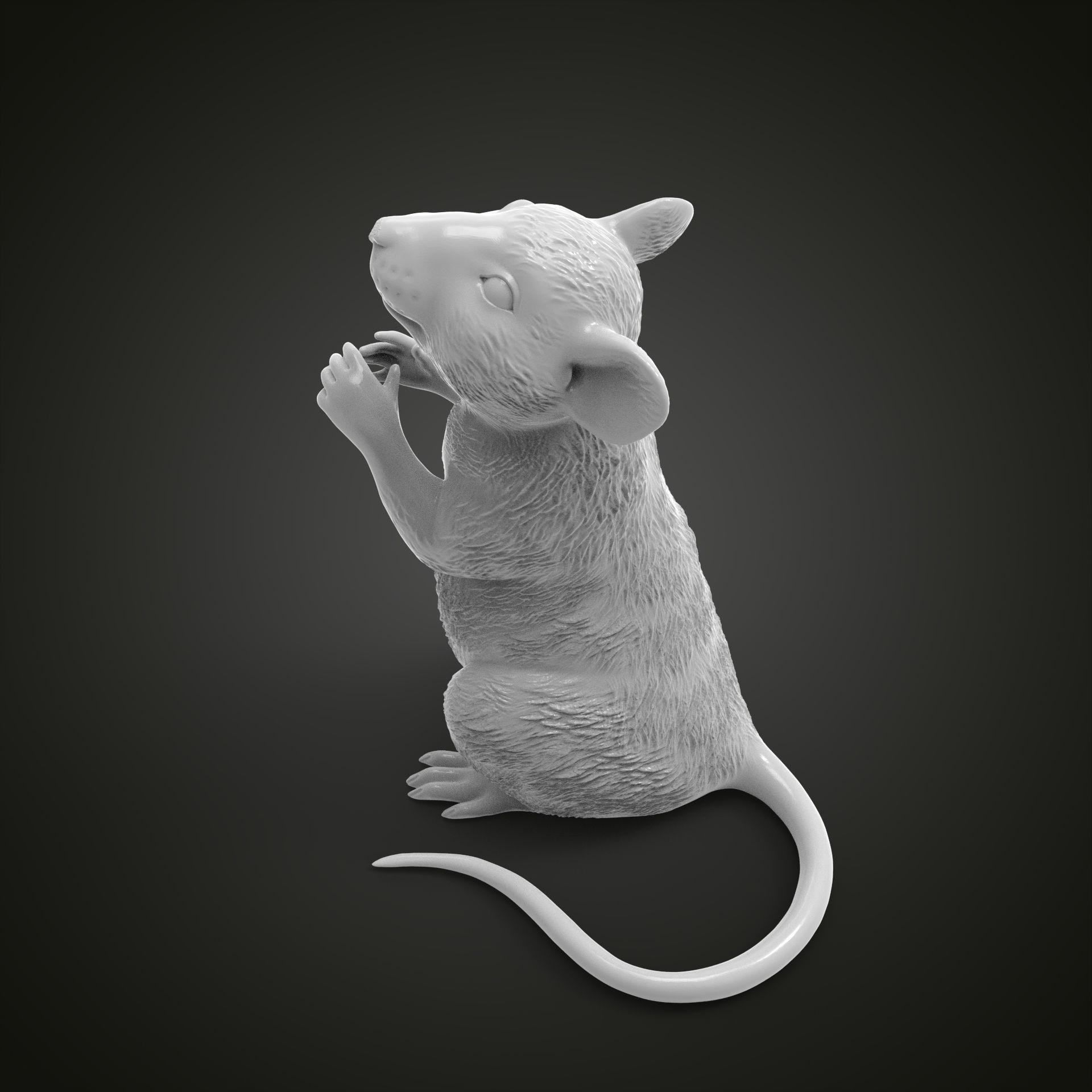 Mouse rat 3D model 3D printable | CGTrader