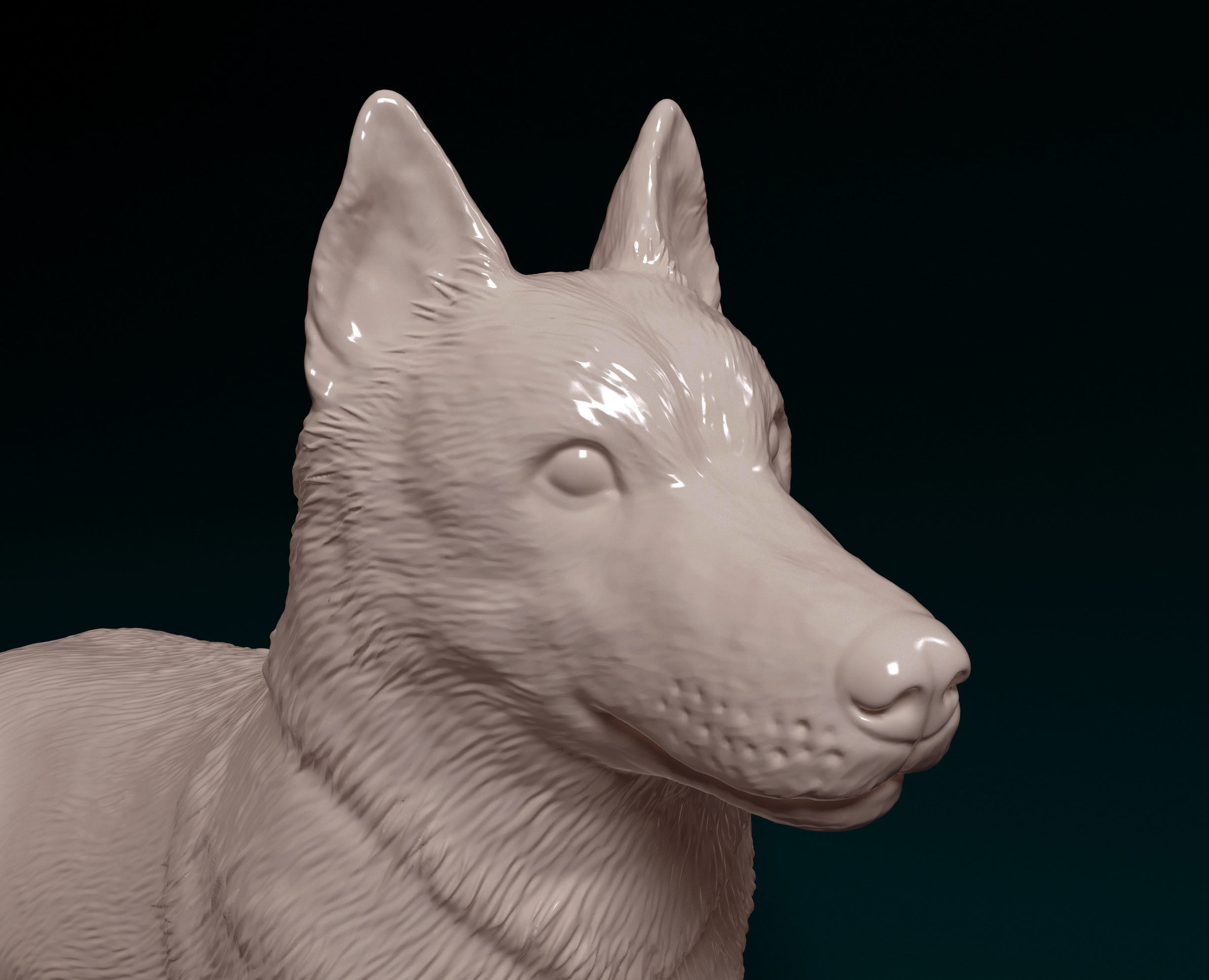 Husky 3D model 3D printable | CGTrader