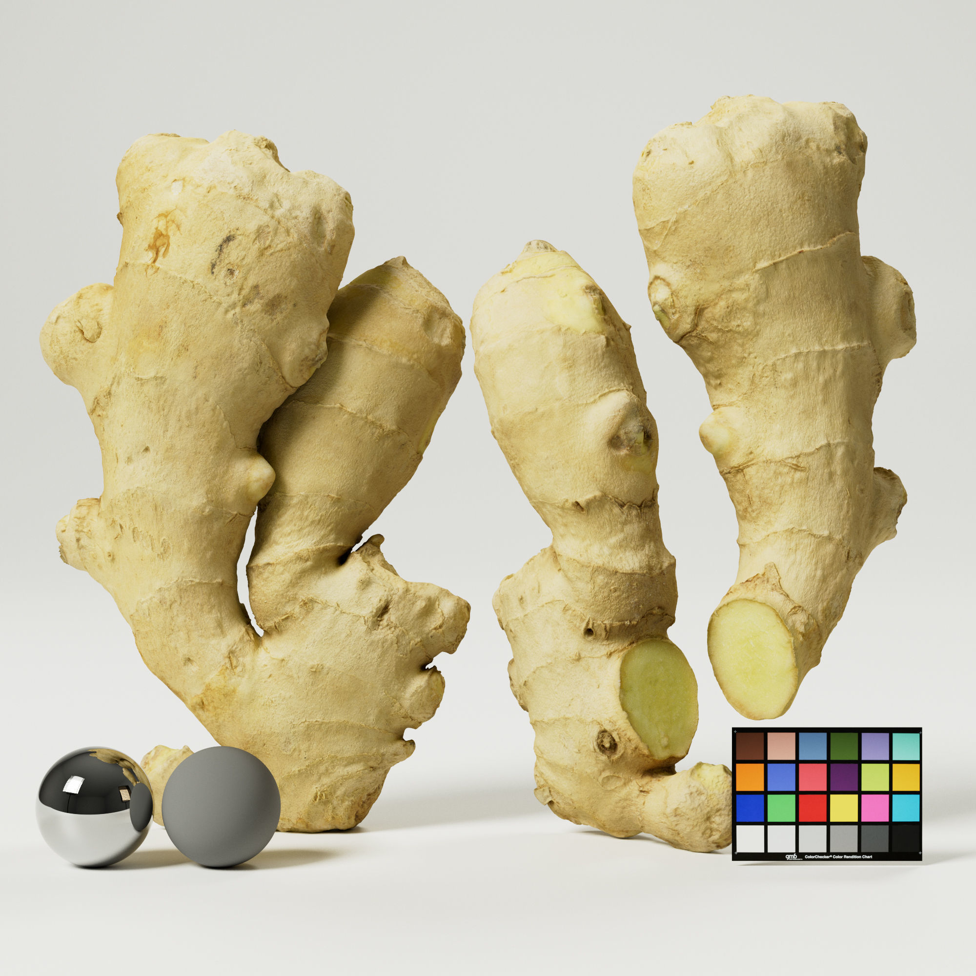 Ginger 3D model | CGTrader