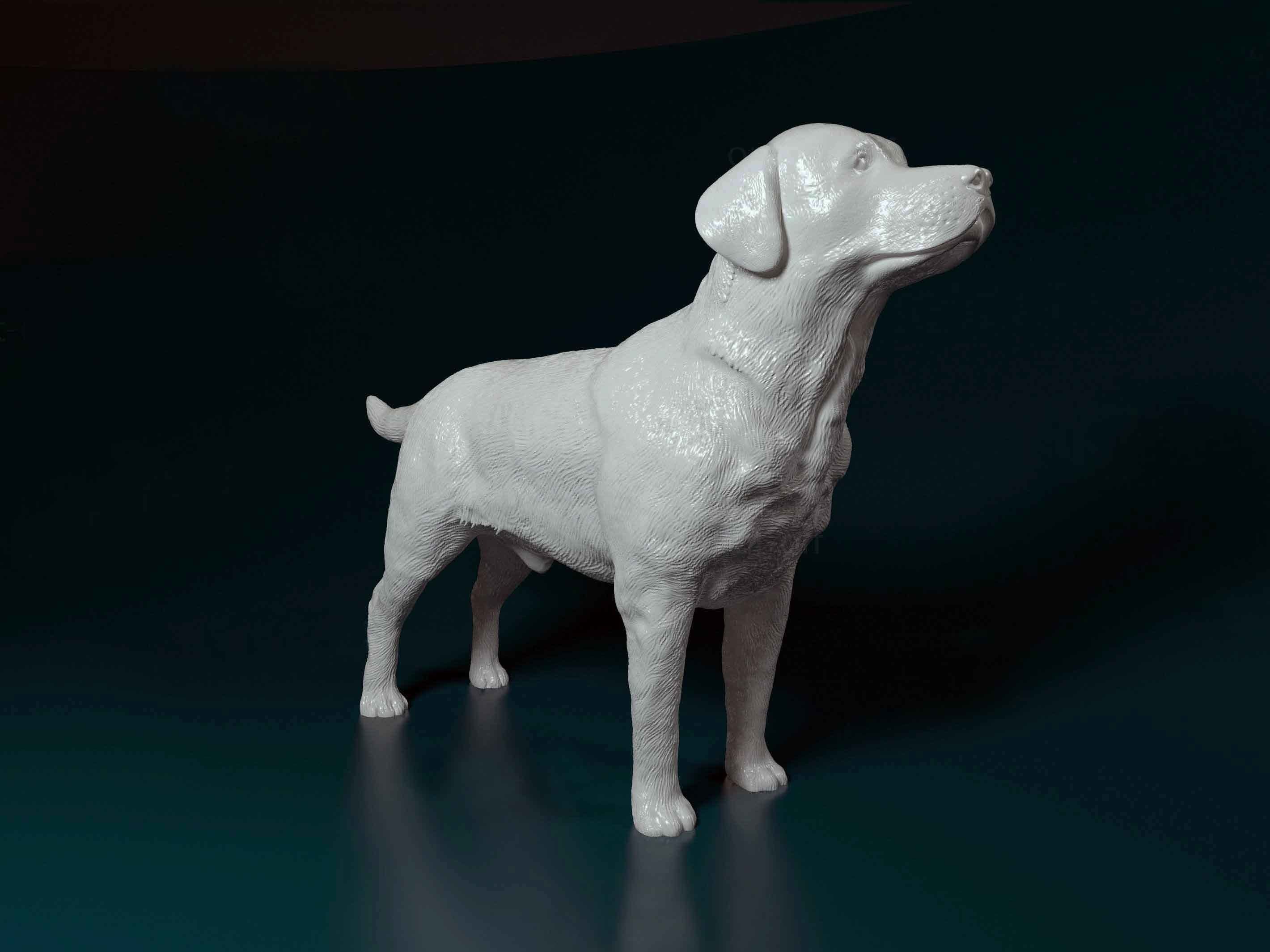 Labrador 3D model 3D printable | CGTrader