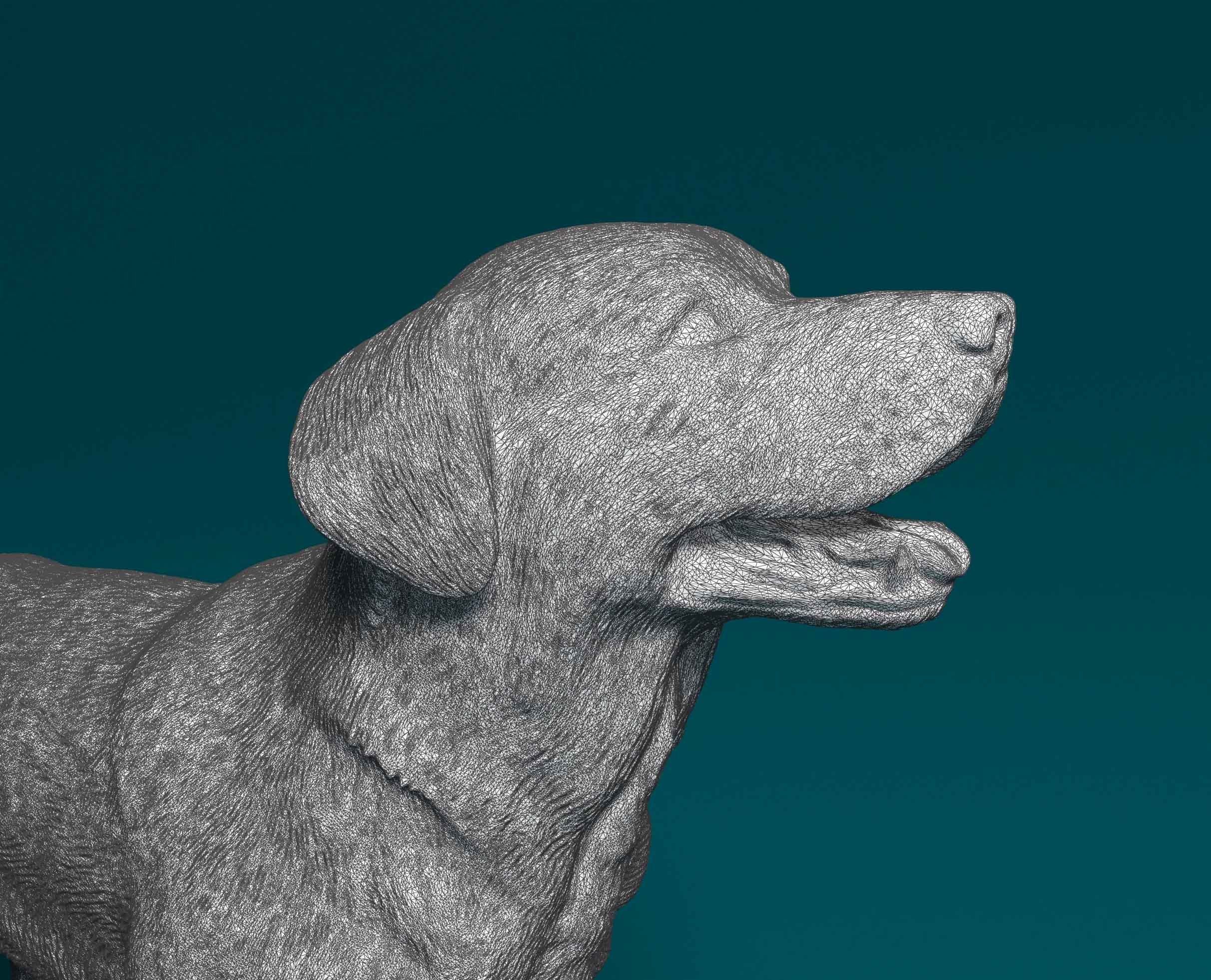 Labrador 3D model 3D printable | CGTrader