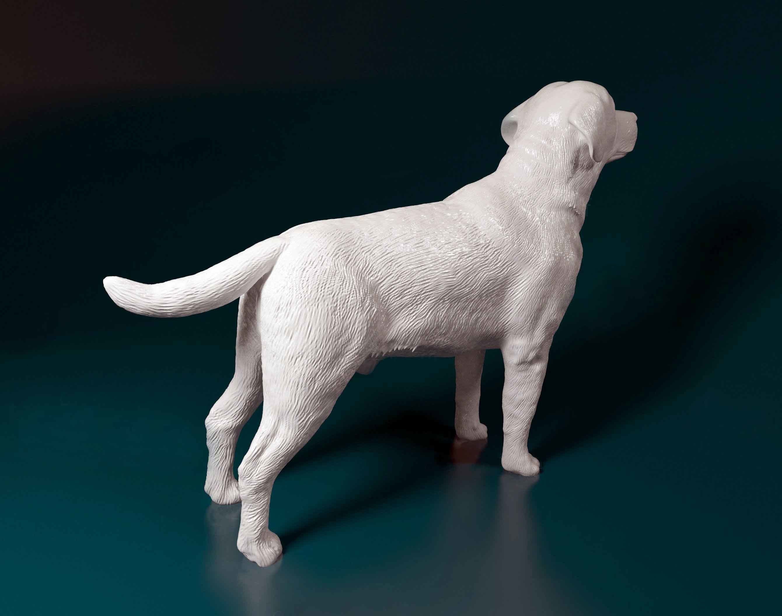 Labrador 3D model 3D printable | CGTrader