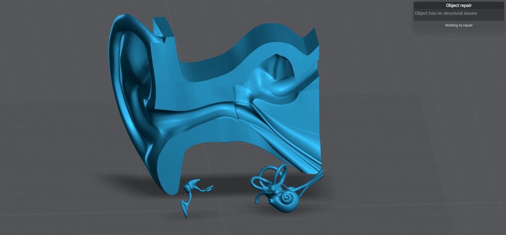 Human Ear Internal 3D model 3D printable | CGTrader